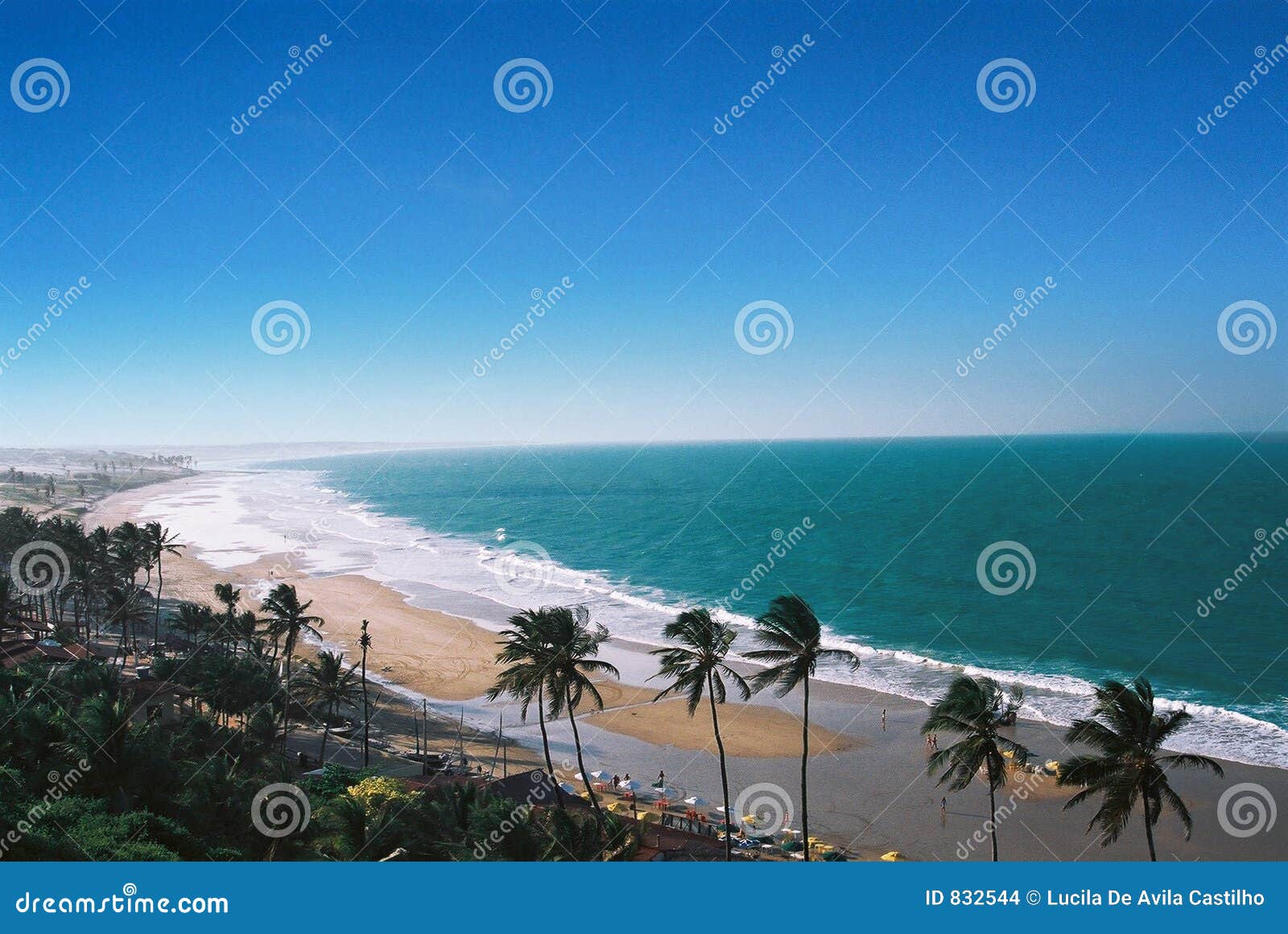 Praia brasileira tropical foto de stock. Imagem de palma - 832544