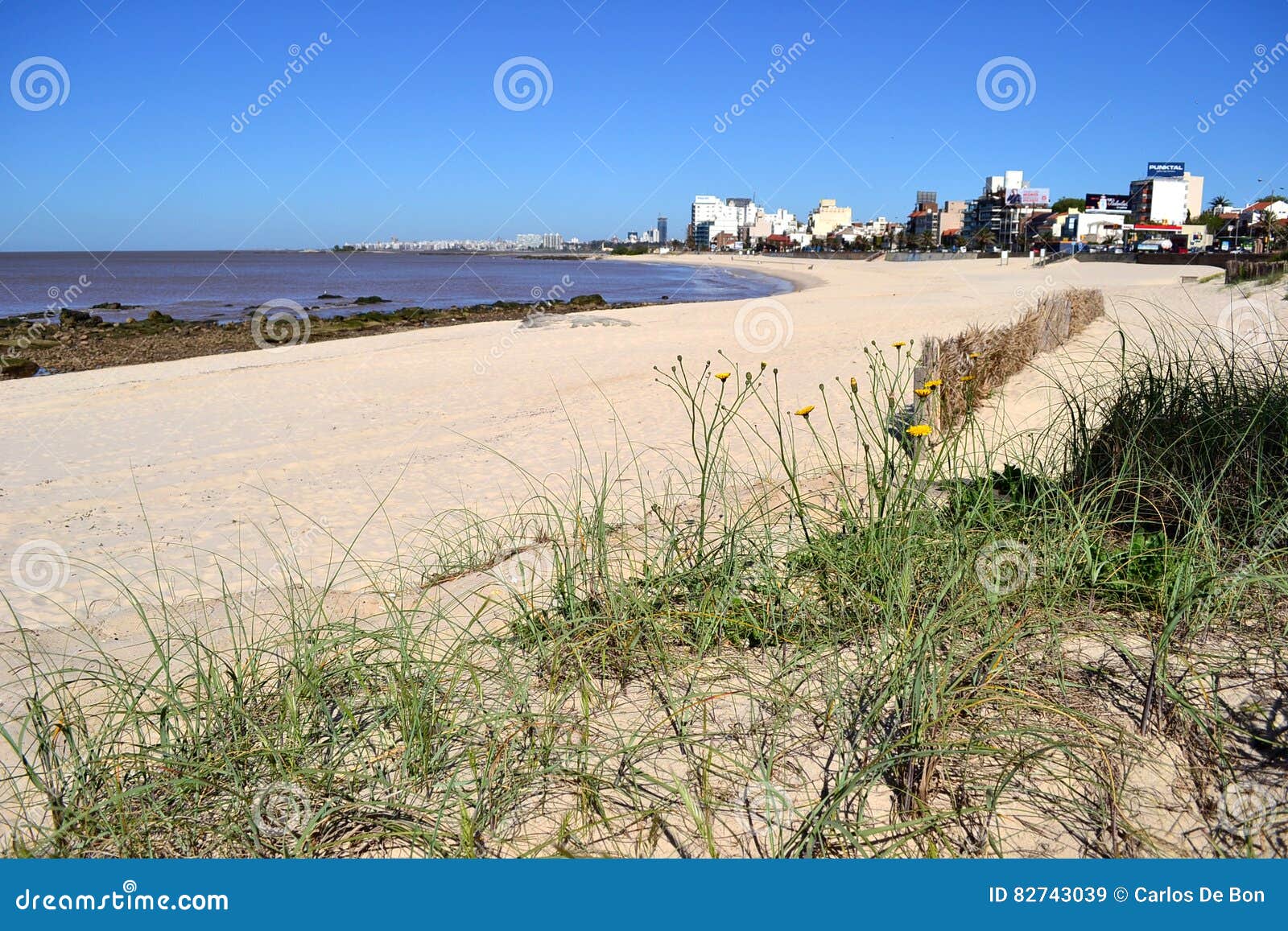 Praia da cidade imagem de stock editorial. Imagem de turismo - 82743039
