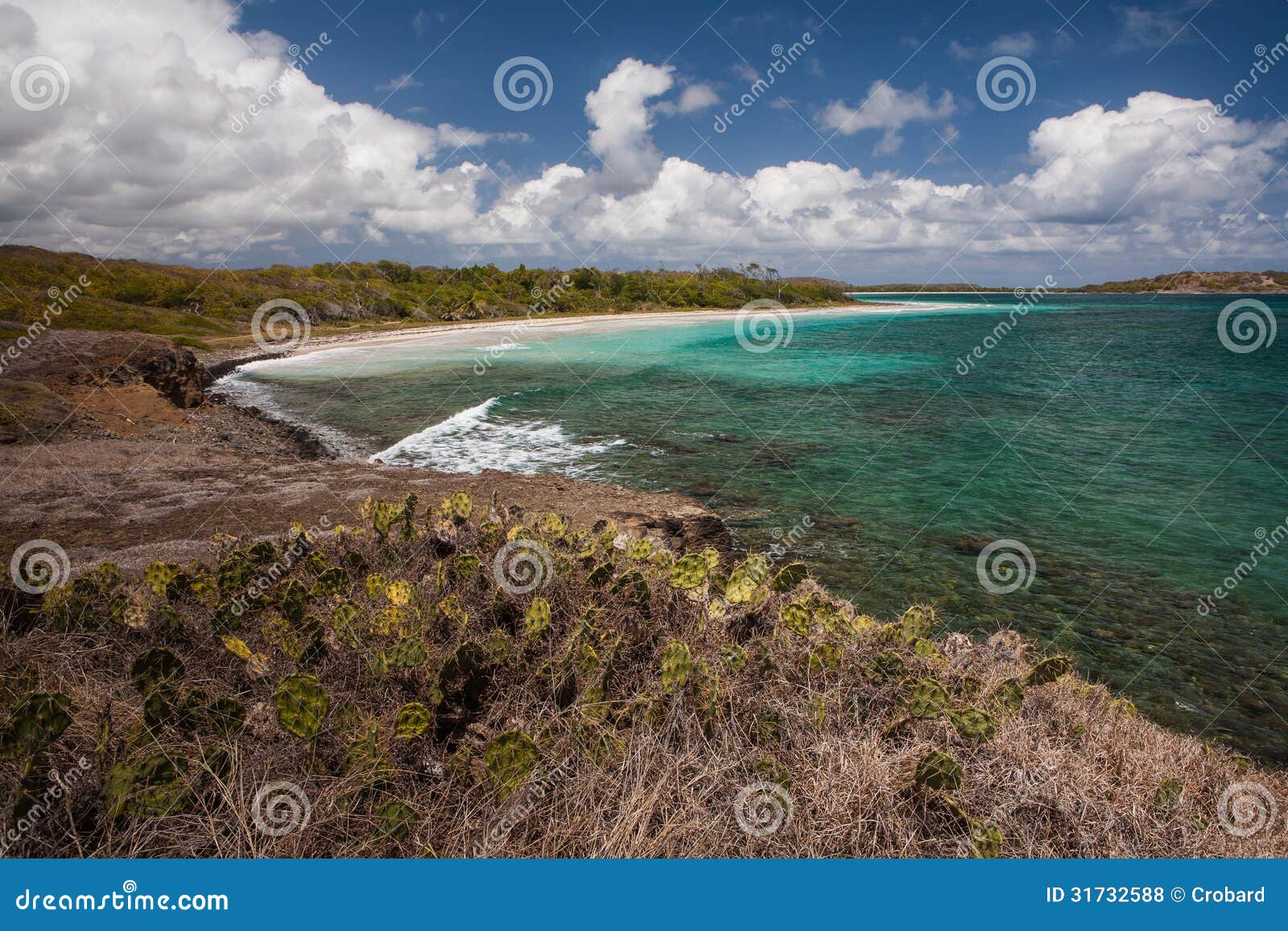 Praia De Anse Trabaud, Martinica Foto de Stock - Imagem de areia ...