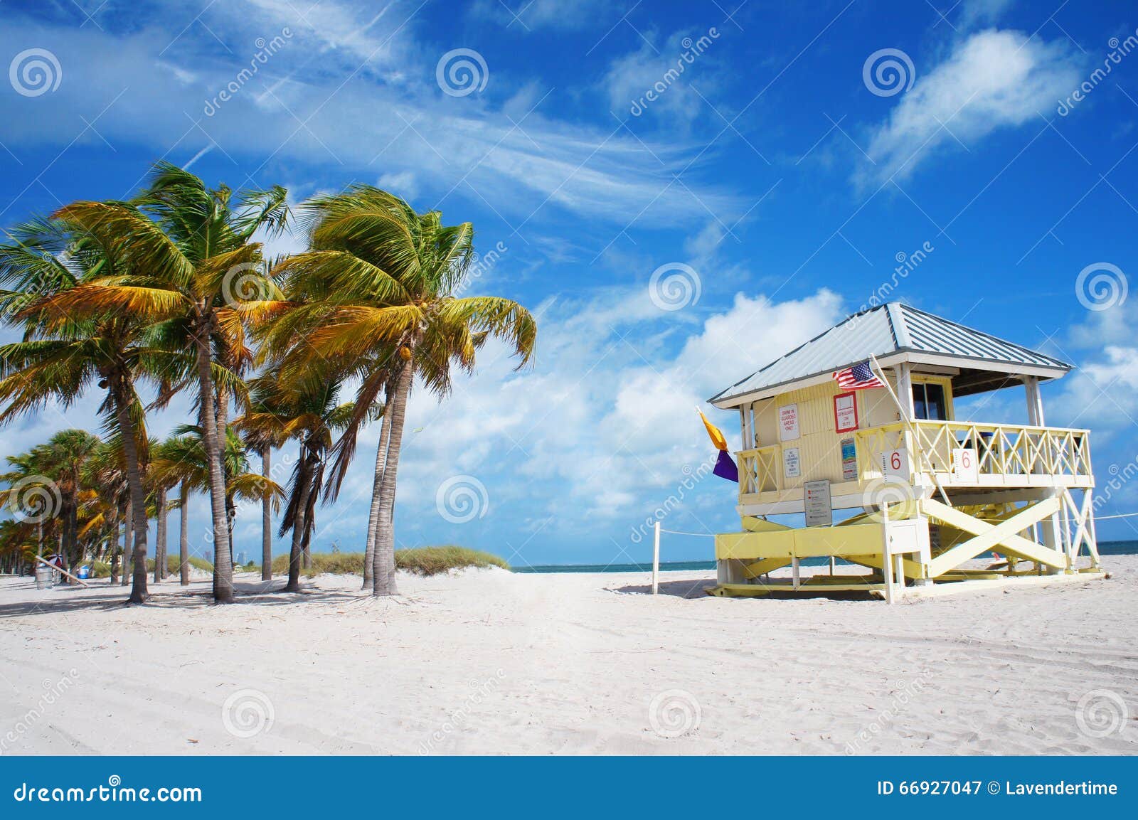 Praia Do Parque De Crandon De Key Biscayne, Miami Imagem de Stock ...