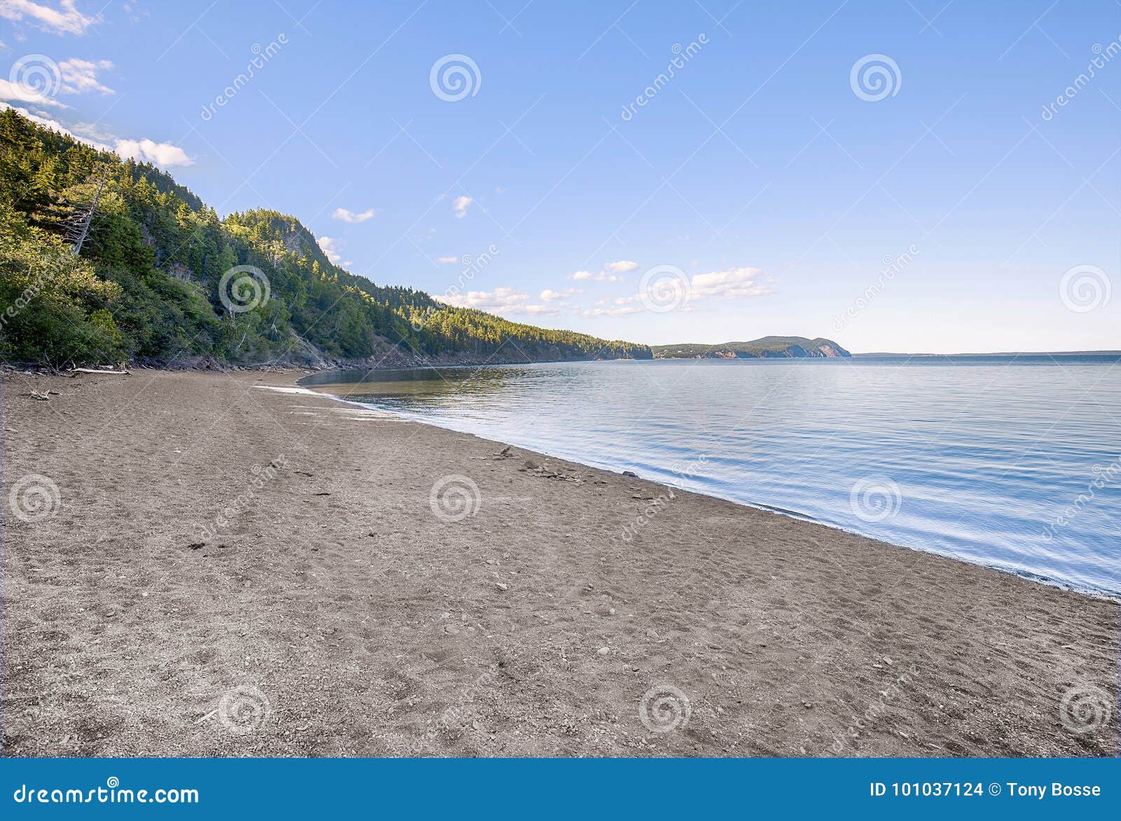 Praia Do Parque Nacional De Fundy Foto de Stock - Imagem de naughty ...