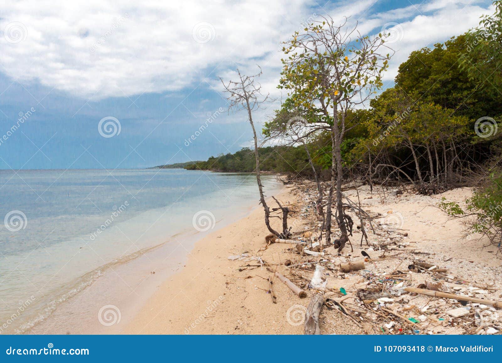 Praia Do Parque Ocidental Nacional Em Bali Foto de Stock - Imagem de ...