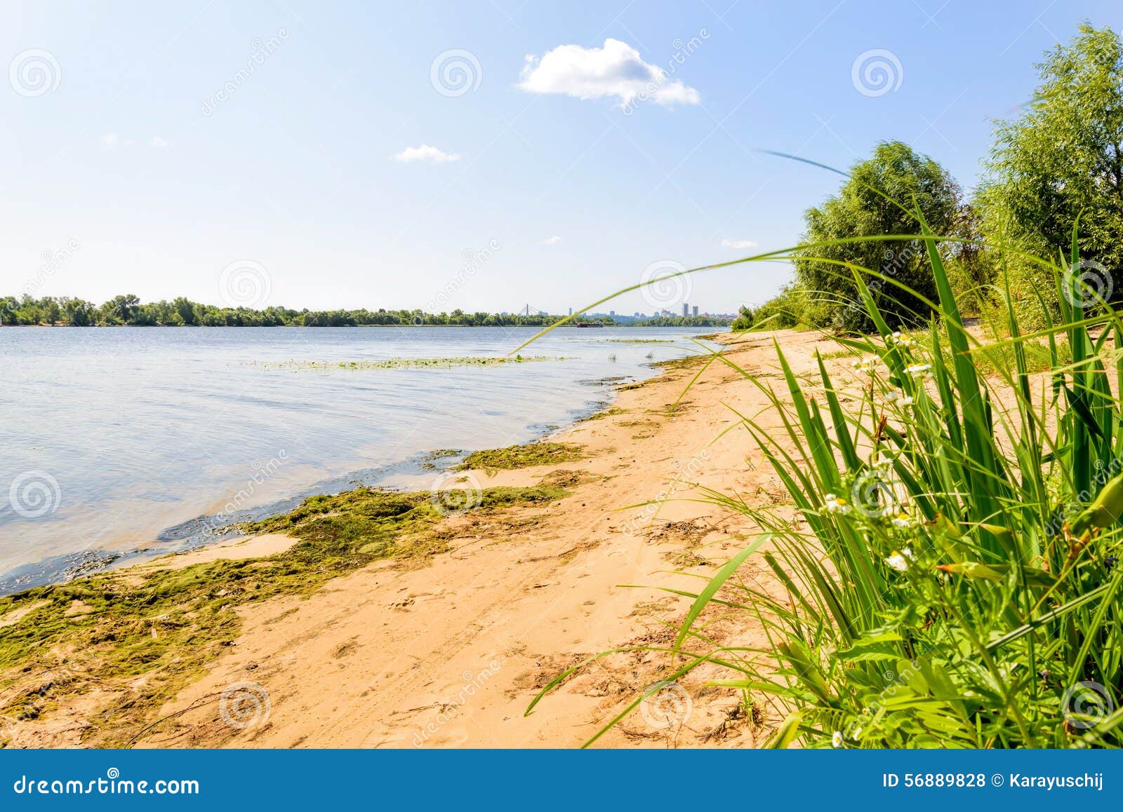 Praia do rio de Dnieper foto de stock. Imagem de exterior - 56889828