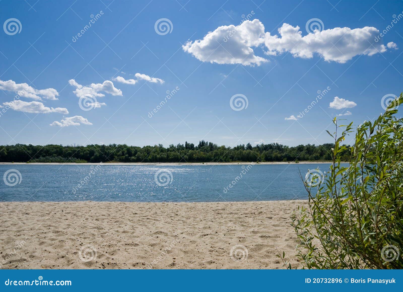A praia no rio Don foto de stock. Imagem de folhas, praia - 20732896
