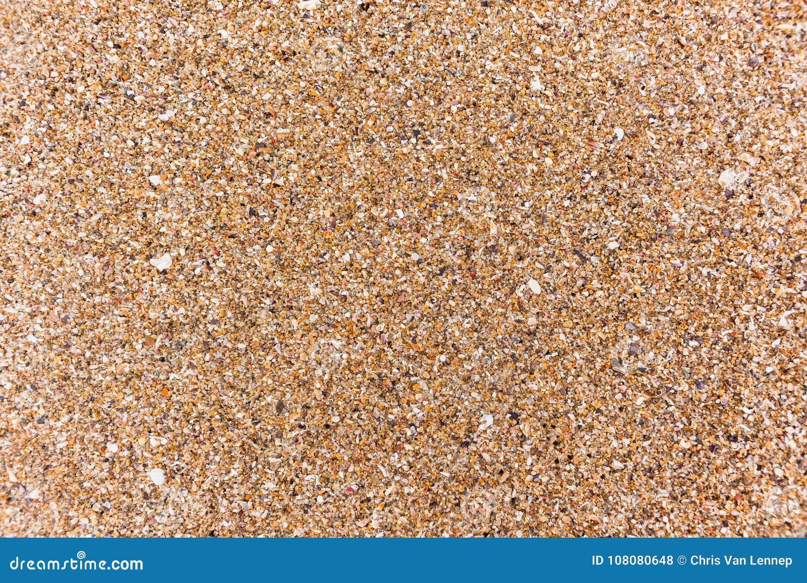 A Praia Textures a Areia Dos Shell Foto de Stock - Imagem de litoral ...