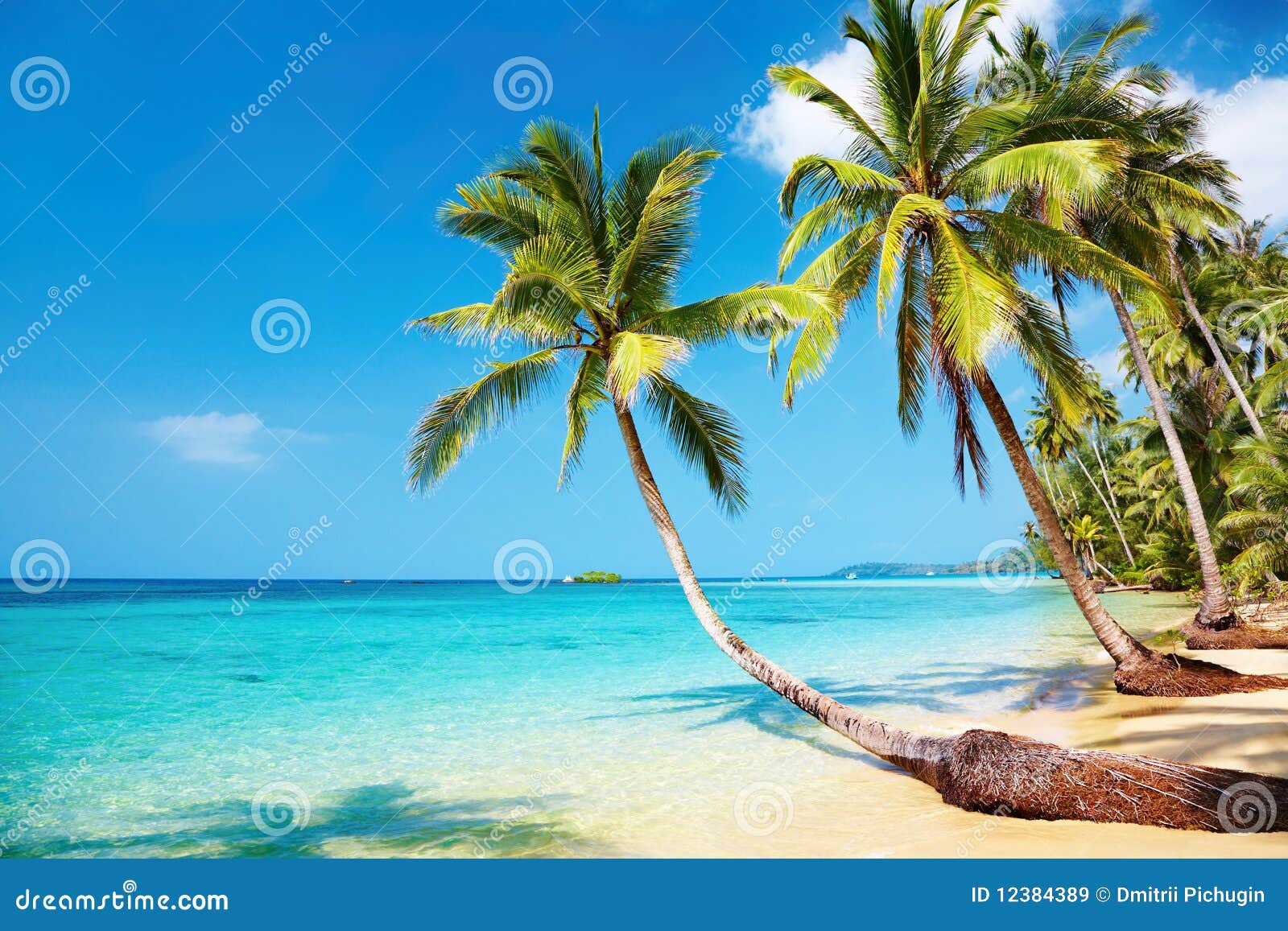 Praia tropical imagem de stock. Imagem de coco, oceano - 12384389