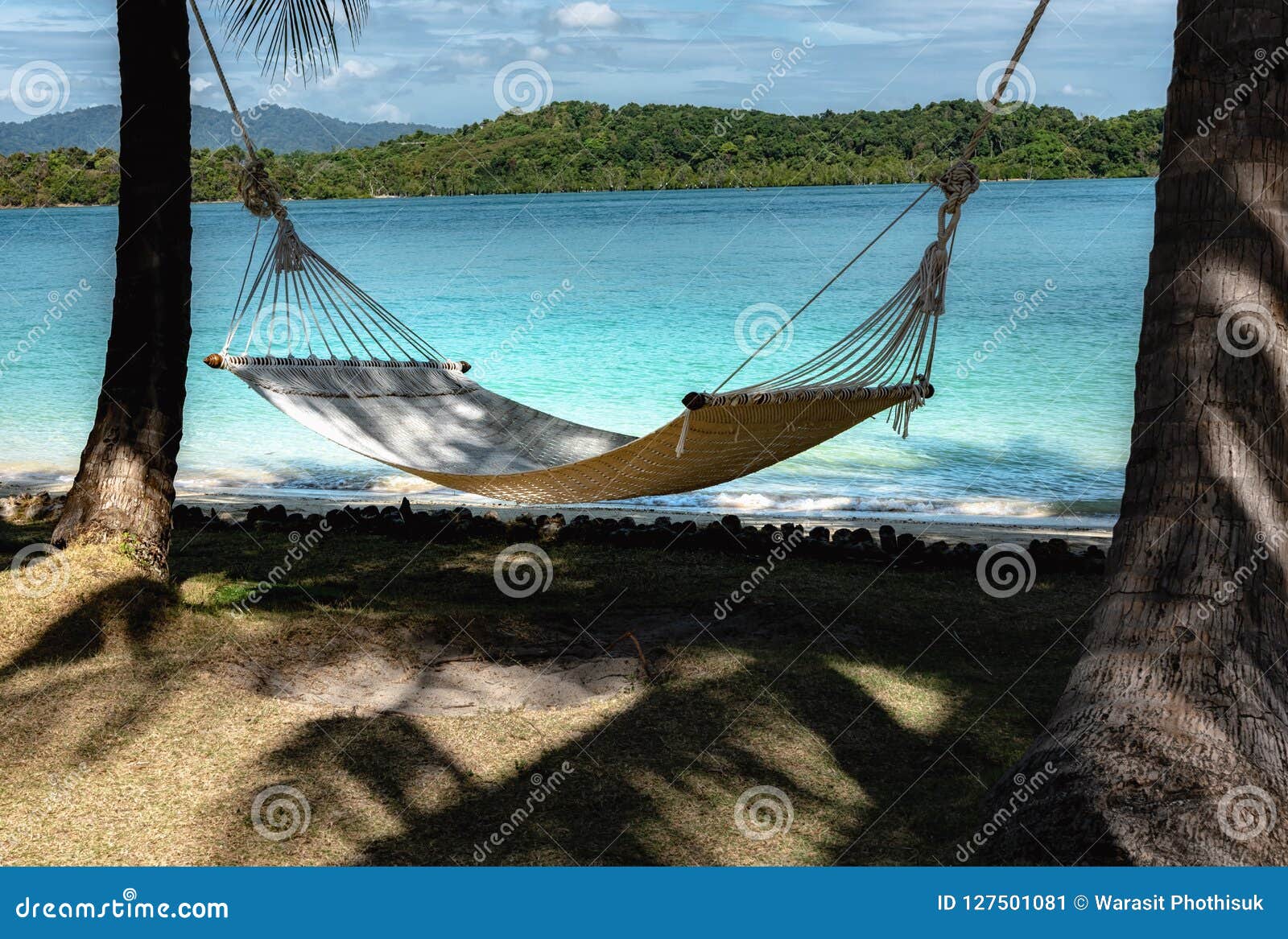 Praia Tropical Perfeita Com Palmeiras E Rede Imagem de Stock - Imagem ...