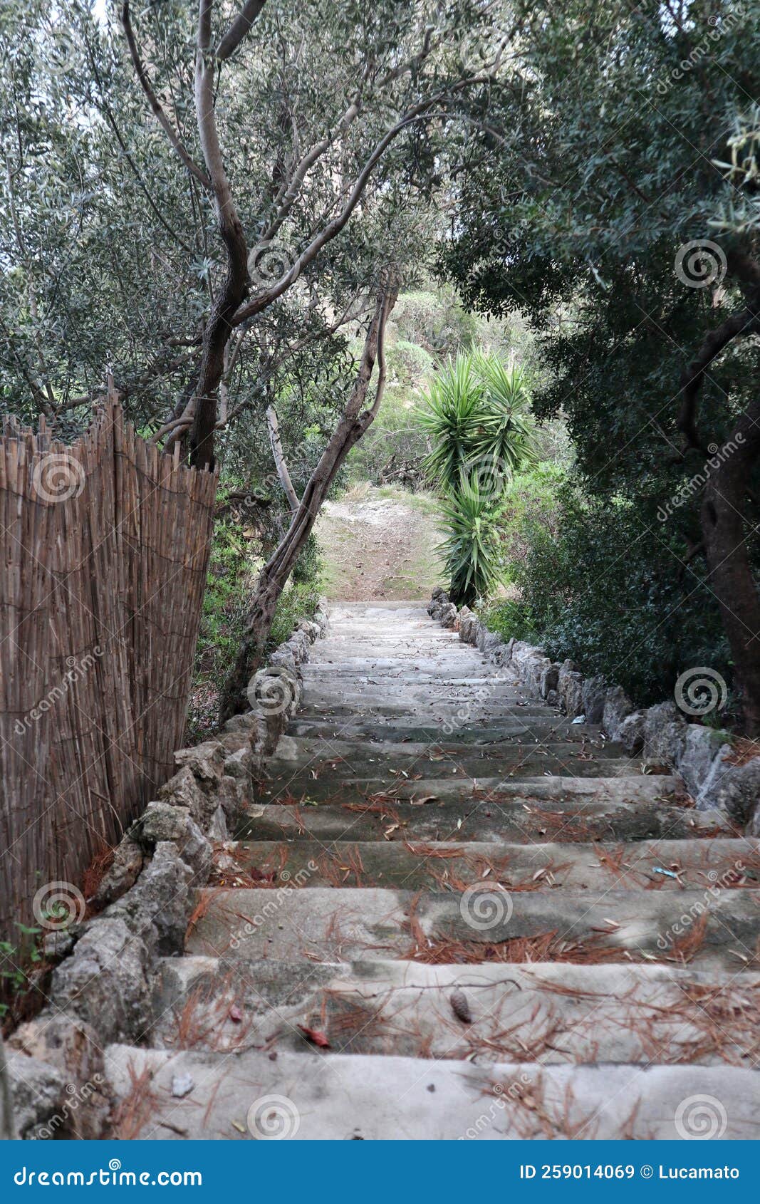 Praiano - Scalinata Di Accesso Al Lido Gavitella All`alba Royalty-Free ...