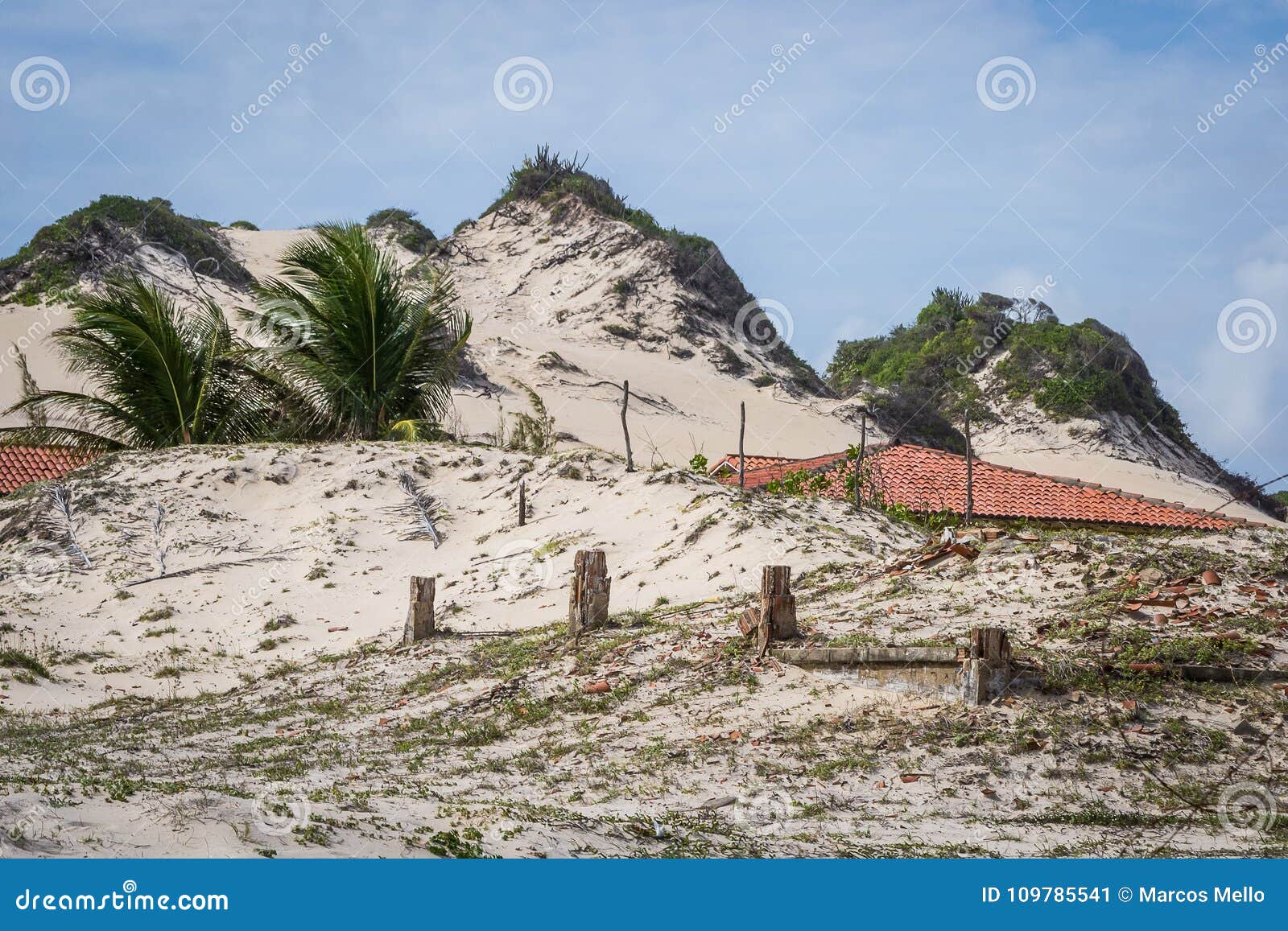 Praias De Brasil - Genipabu RN Imagem de Stock - Imagem de fundo, costa ...