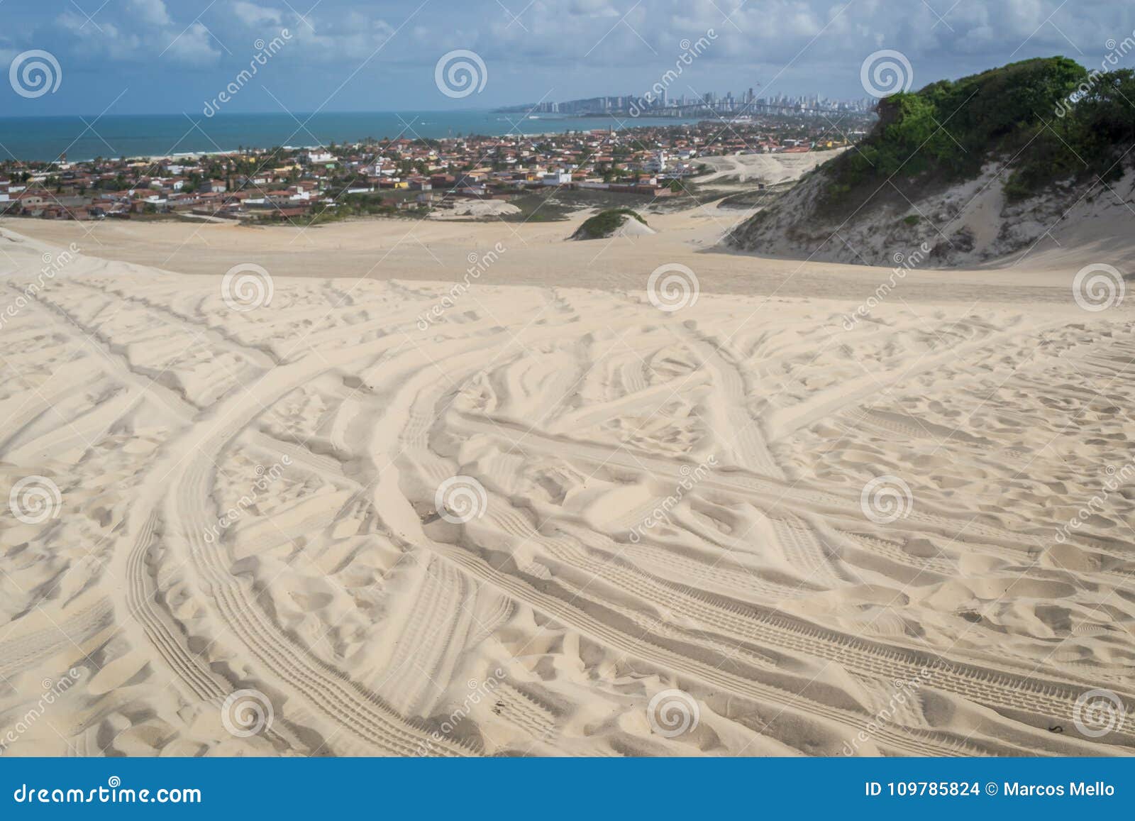 Praias De Brasil - Genipabu RN Foto de Stock - Imagem de praia, palma ...