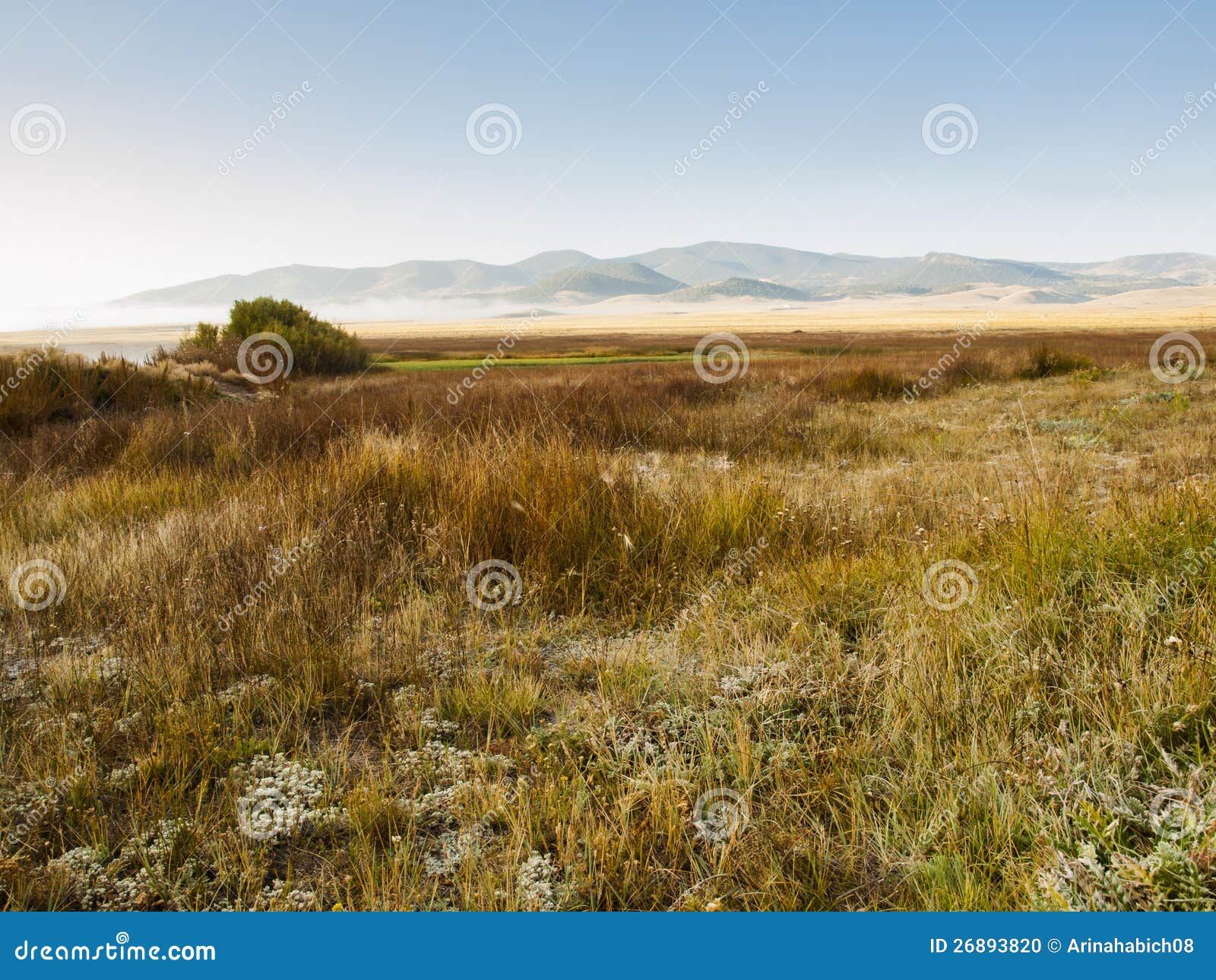 Prairie stock photo. Image of shrubland, colorado, morning - 26893820