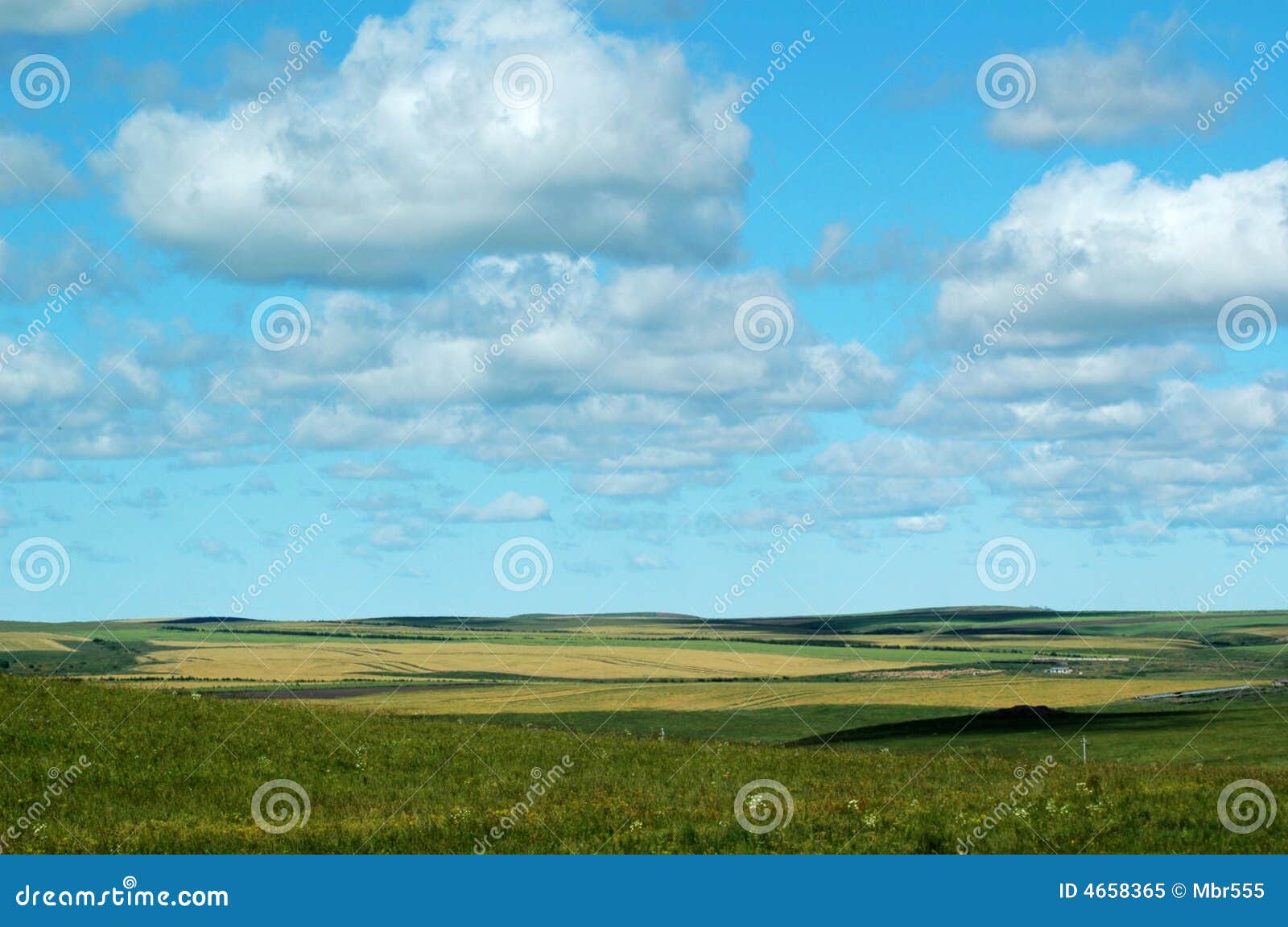 Prairie stock image. Image of shepherd, baiyun, spring - 4658365