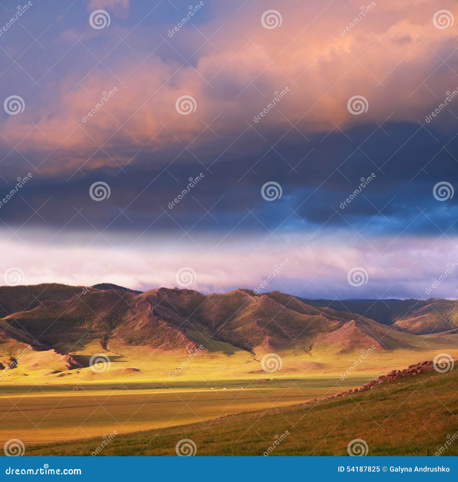 Prairie stock image. Image of scenery, fresh, scenic - 54187825