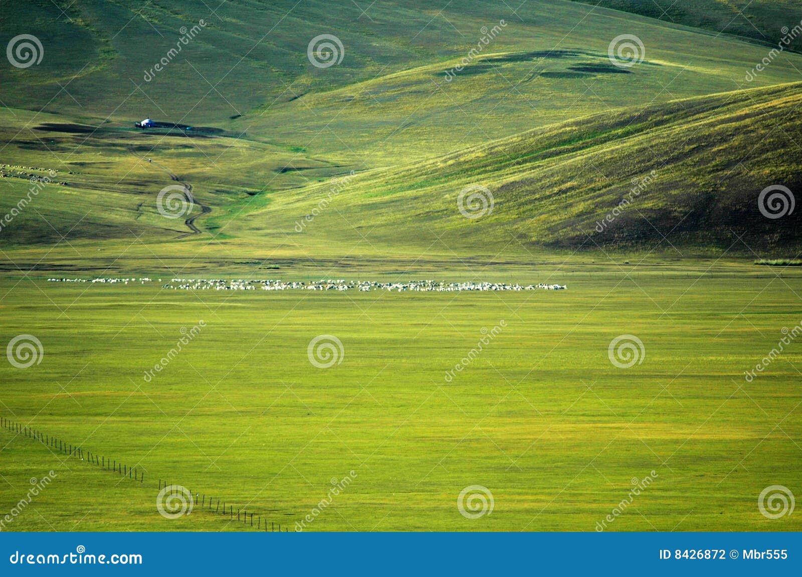 Prairie stock photo. Image of clouds, spectacular, tourism - 8426872