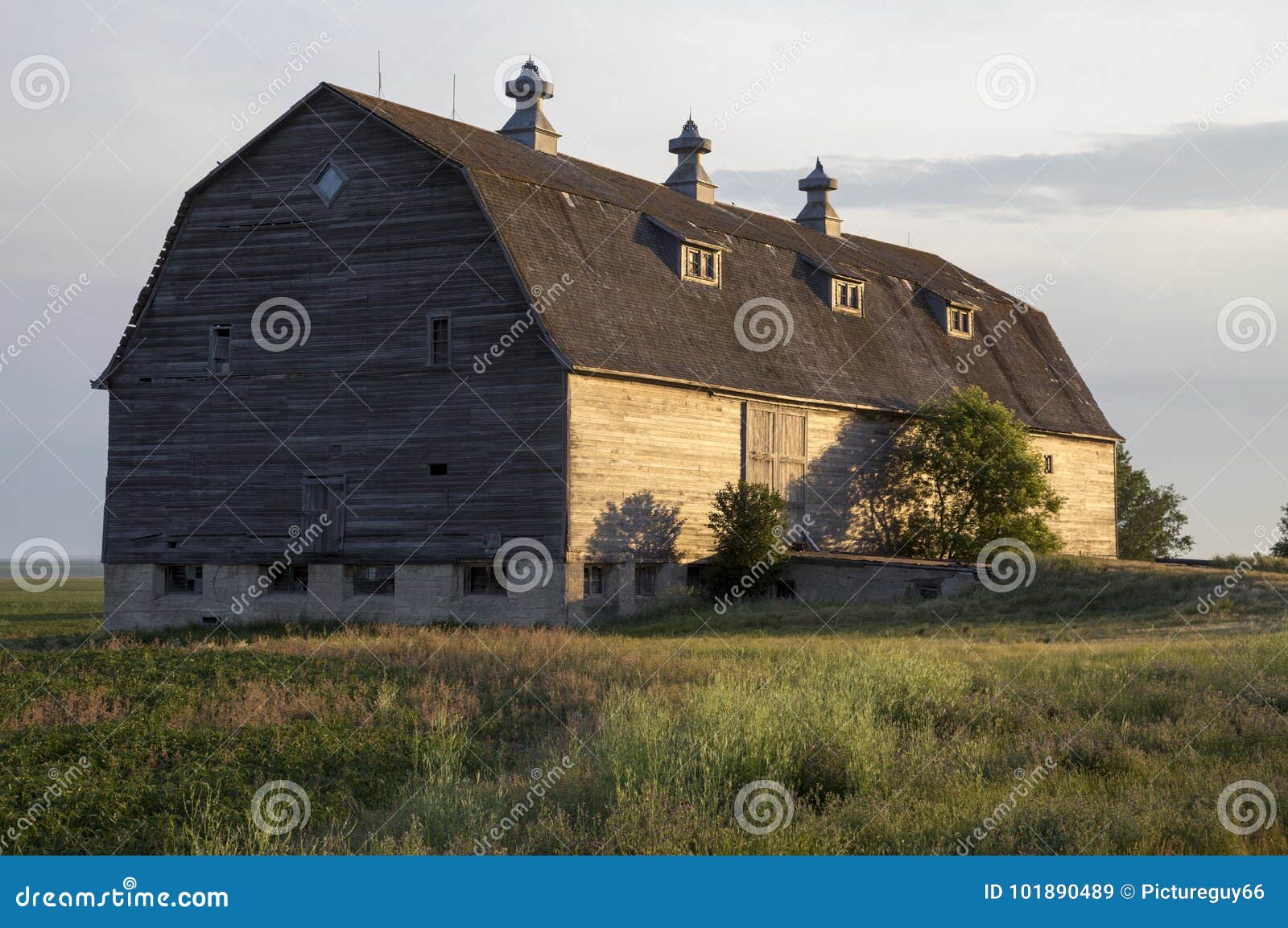Prairie Barn Saskatchewan stock image. Image of agriculture - 101890489