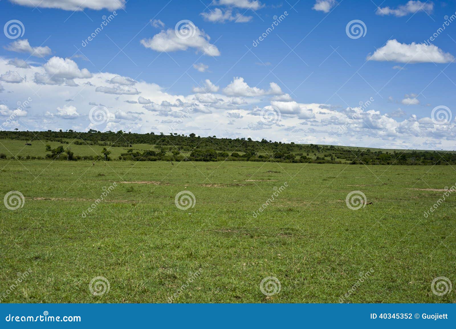 Prairie and blue sky Kenya stock photo. Image of outdoors - 40345352