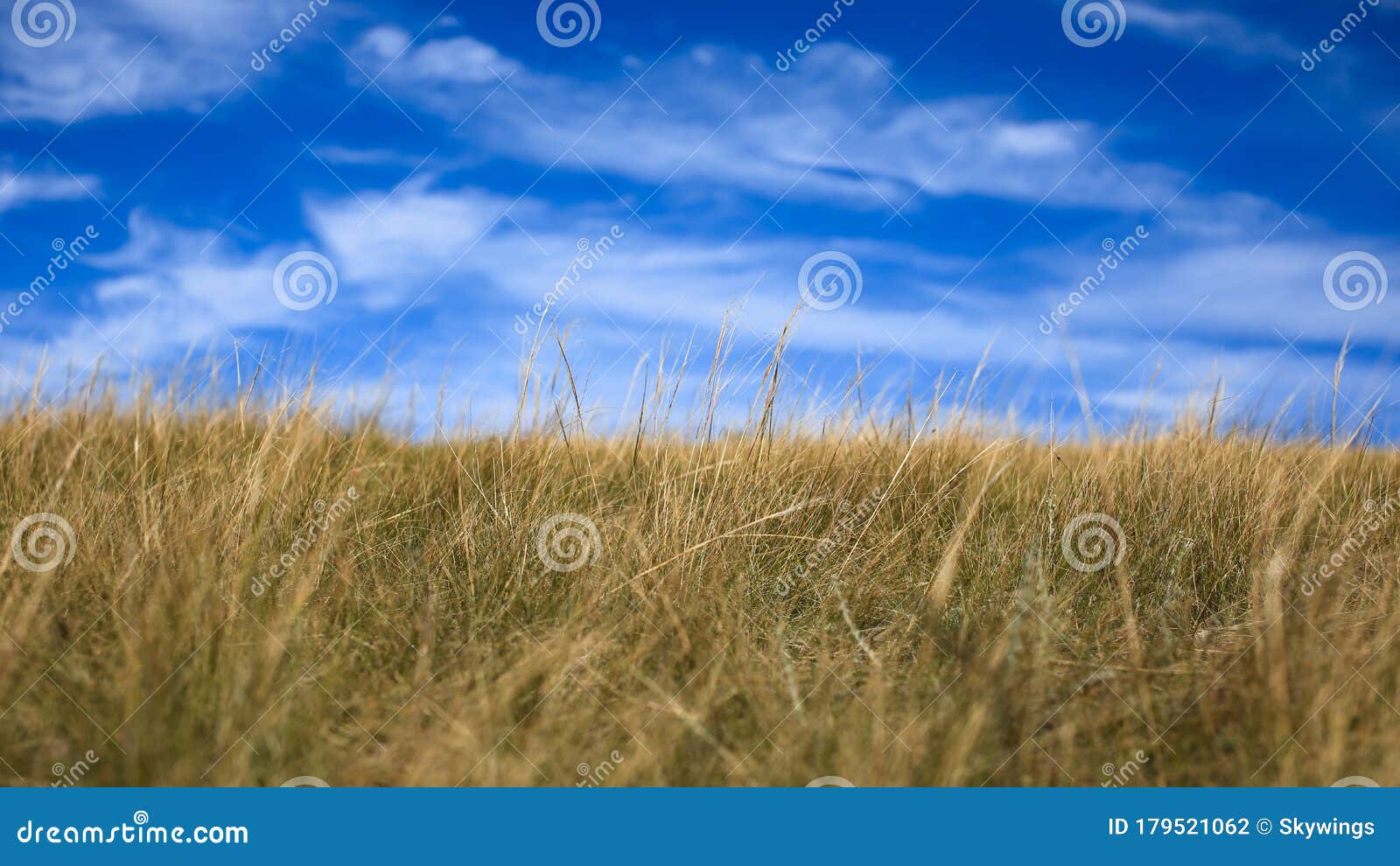 The prairie blue sky stock photo. Image of zhangbei - 179521062