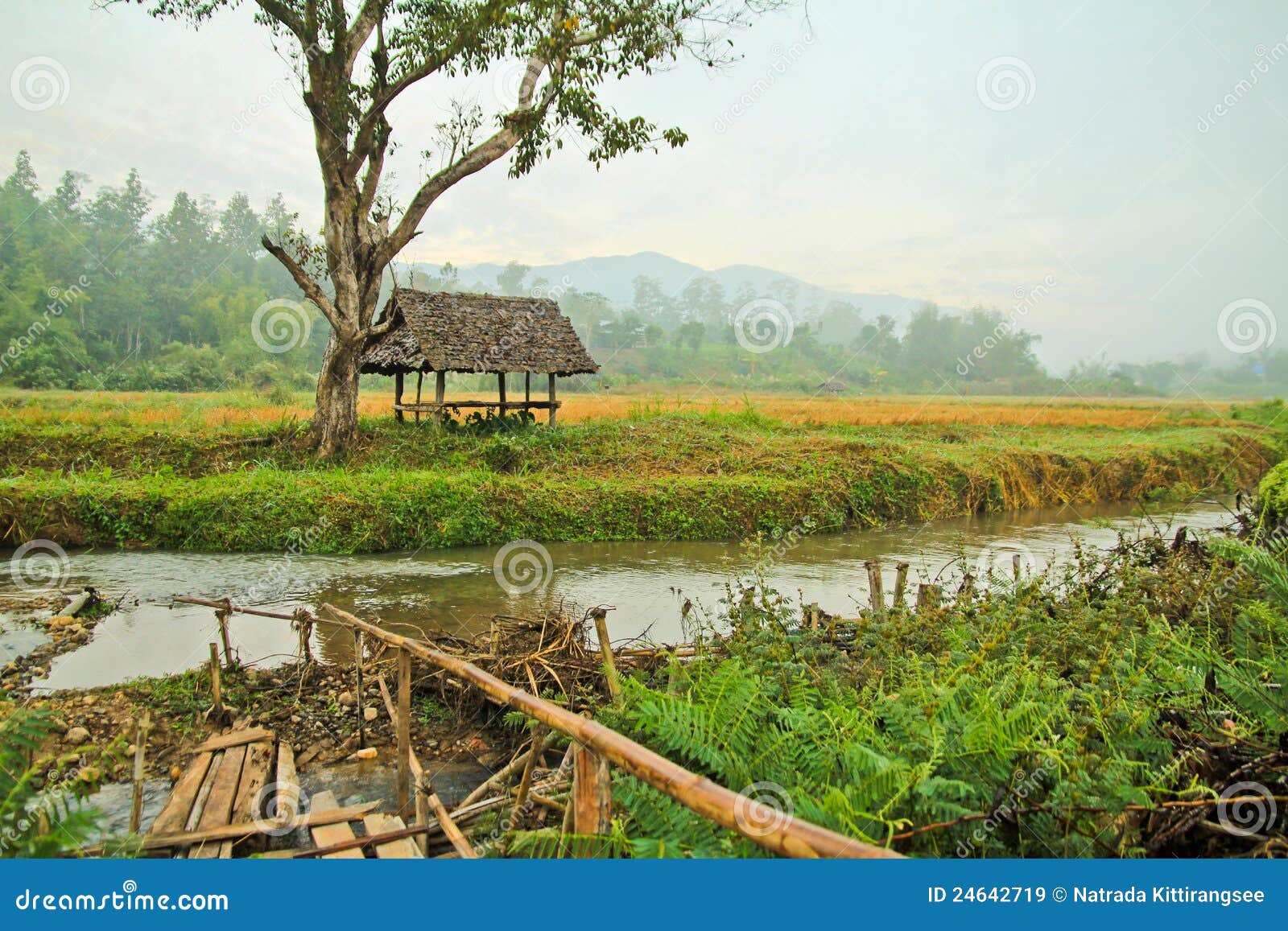 Prairie Brook House Mountain Stock Image - Image of pause, adorable ...