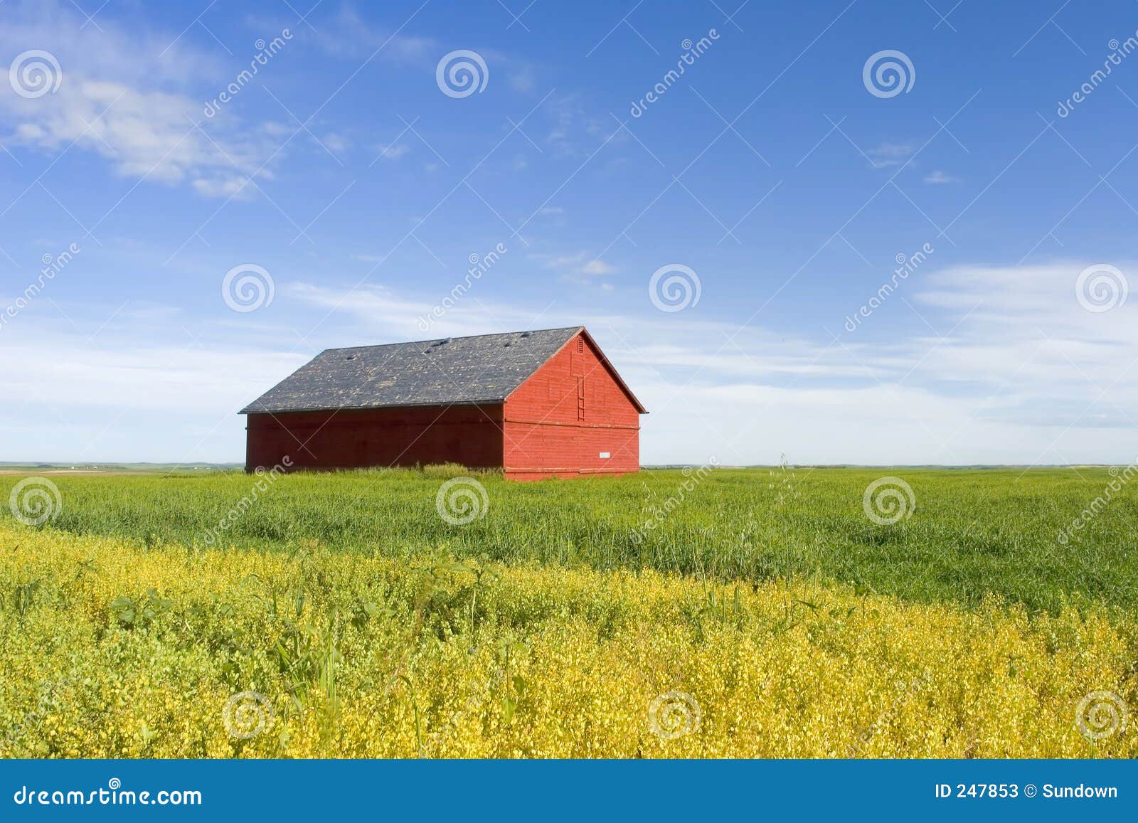 Prairie Building stock image. Image of wide, grain, meadow - 247853