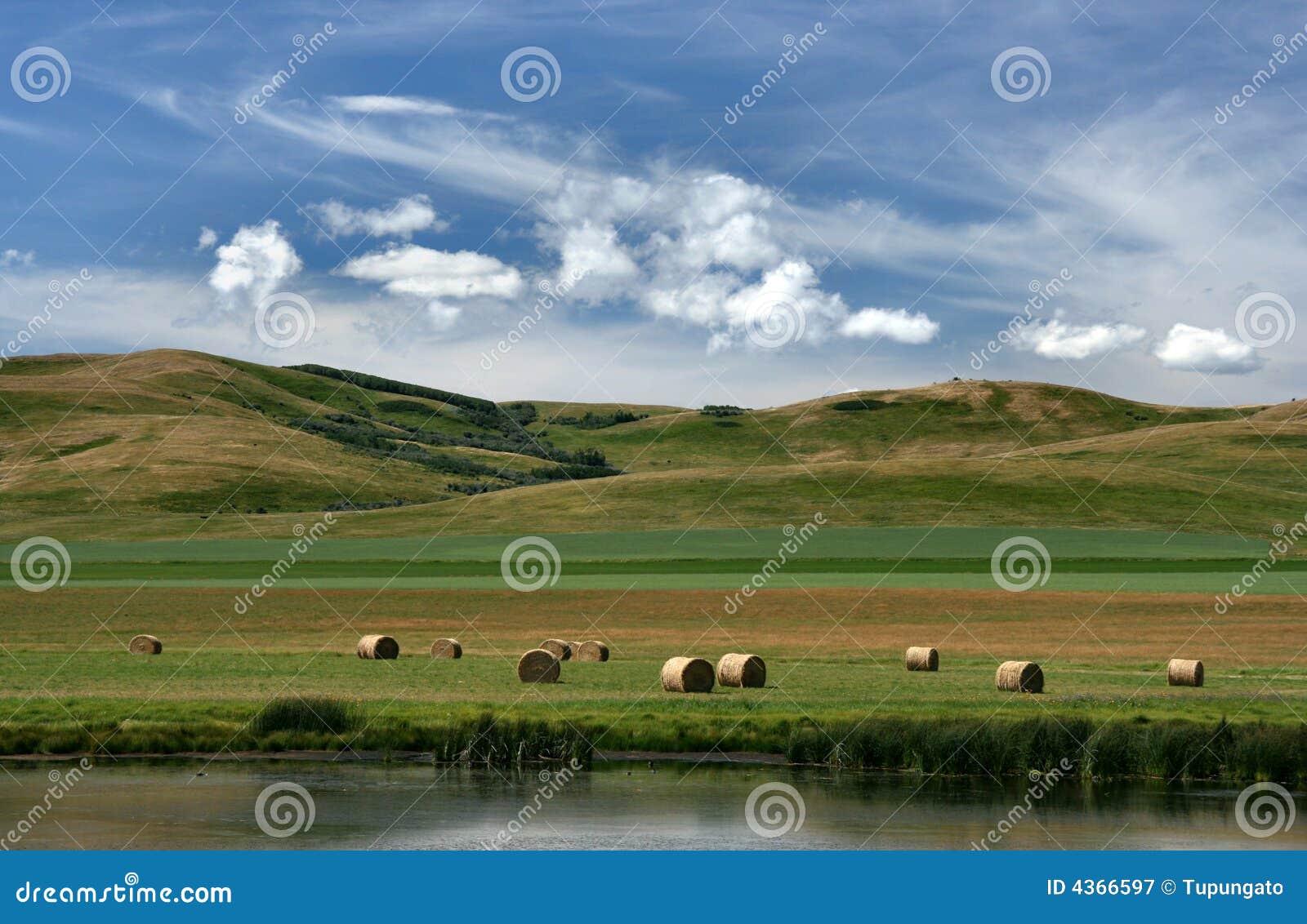 Prairie in Canada stock image. Image of canada, america - 4366597