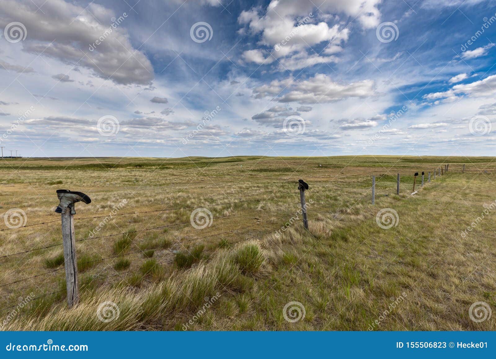The Prairie of Canada stock image. Image of agriculture - 155506823