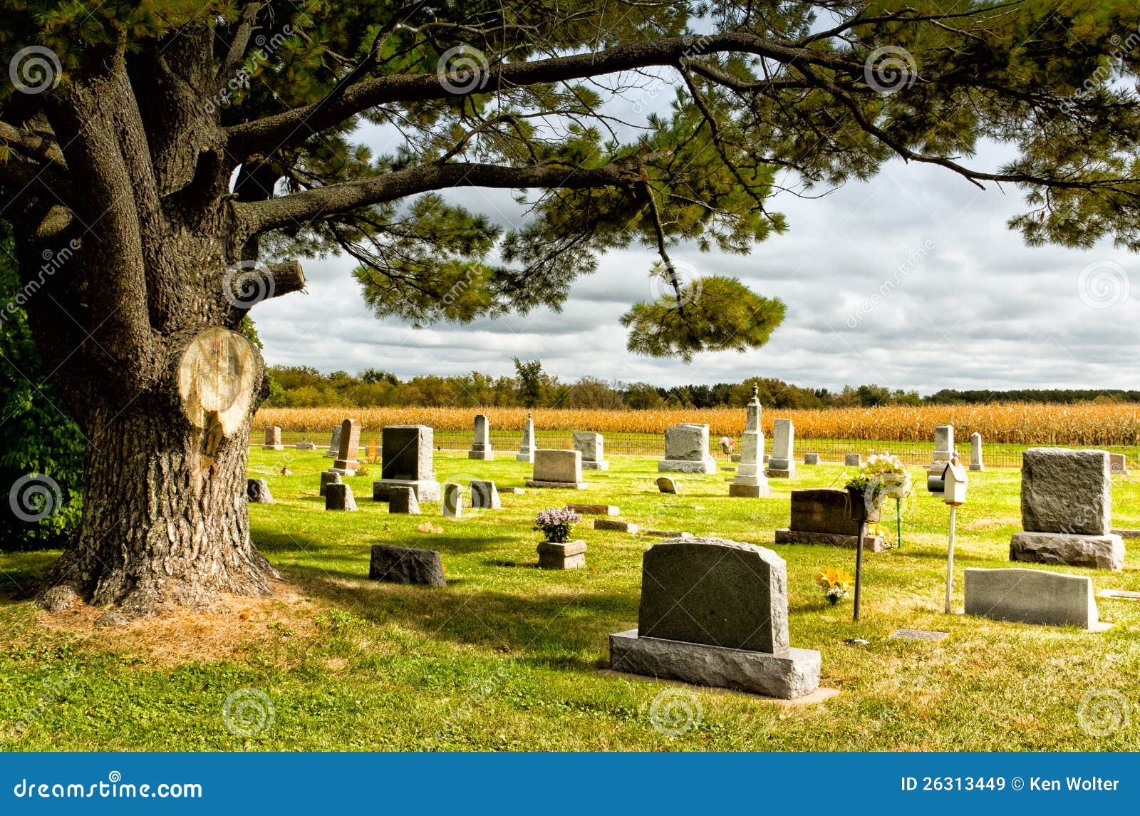 Prairie Cemetary stock image. Image of autumn, landscape - 26313449