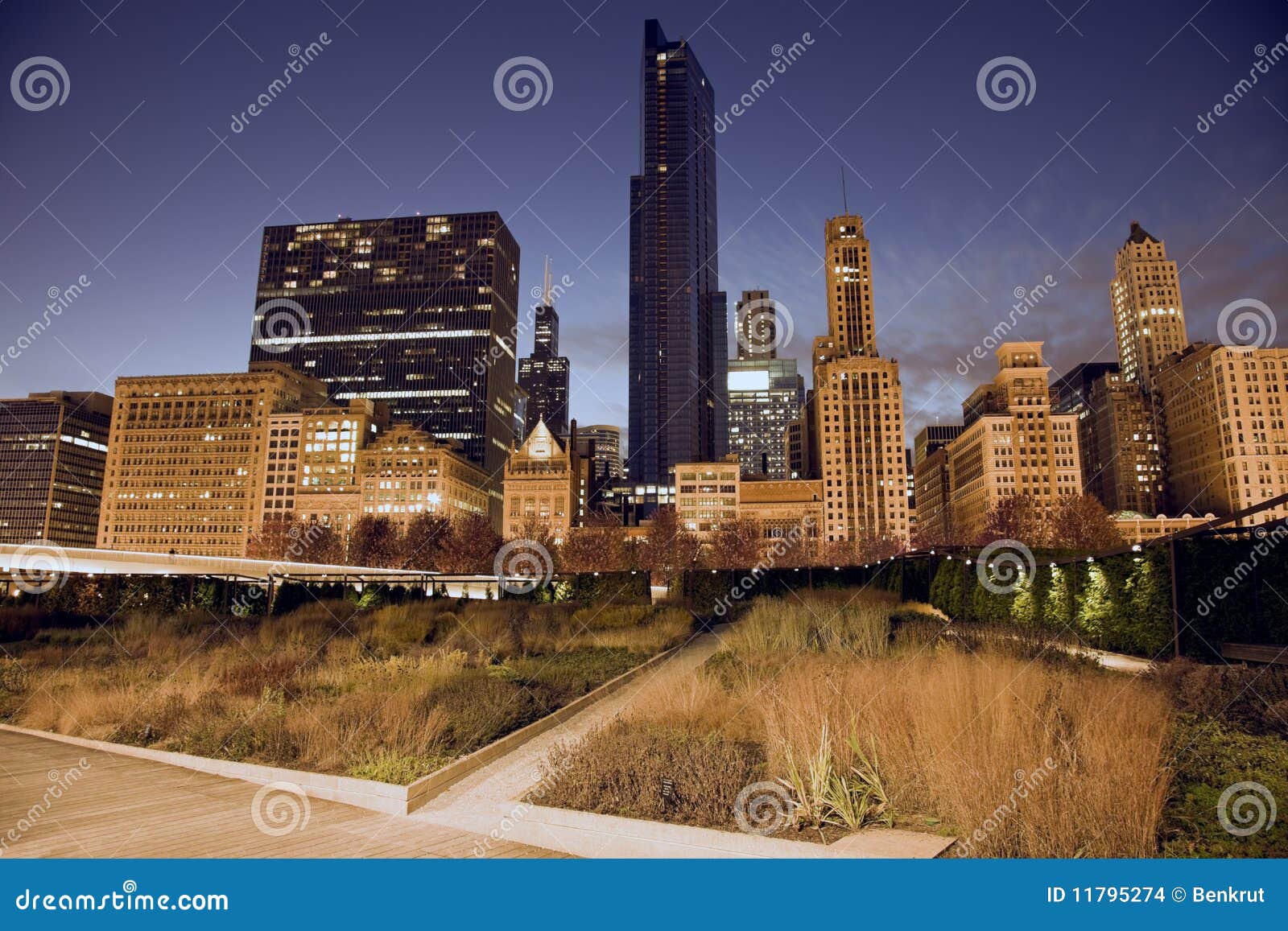 Prairie in Downtown Chicago Stock Photo - Image of city, architecture ...