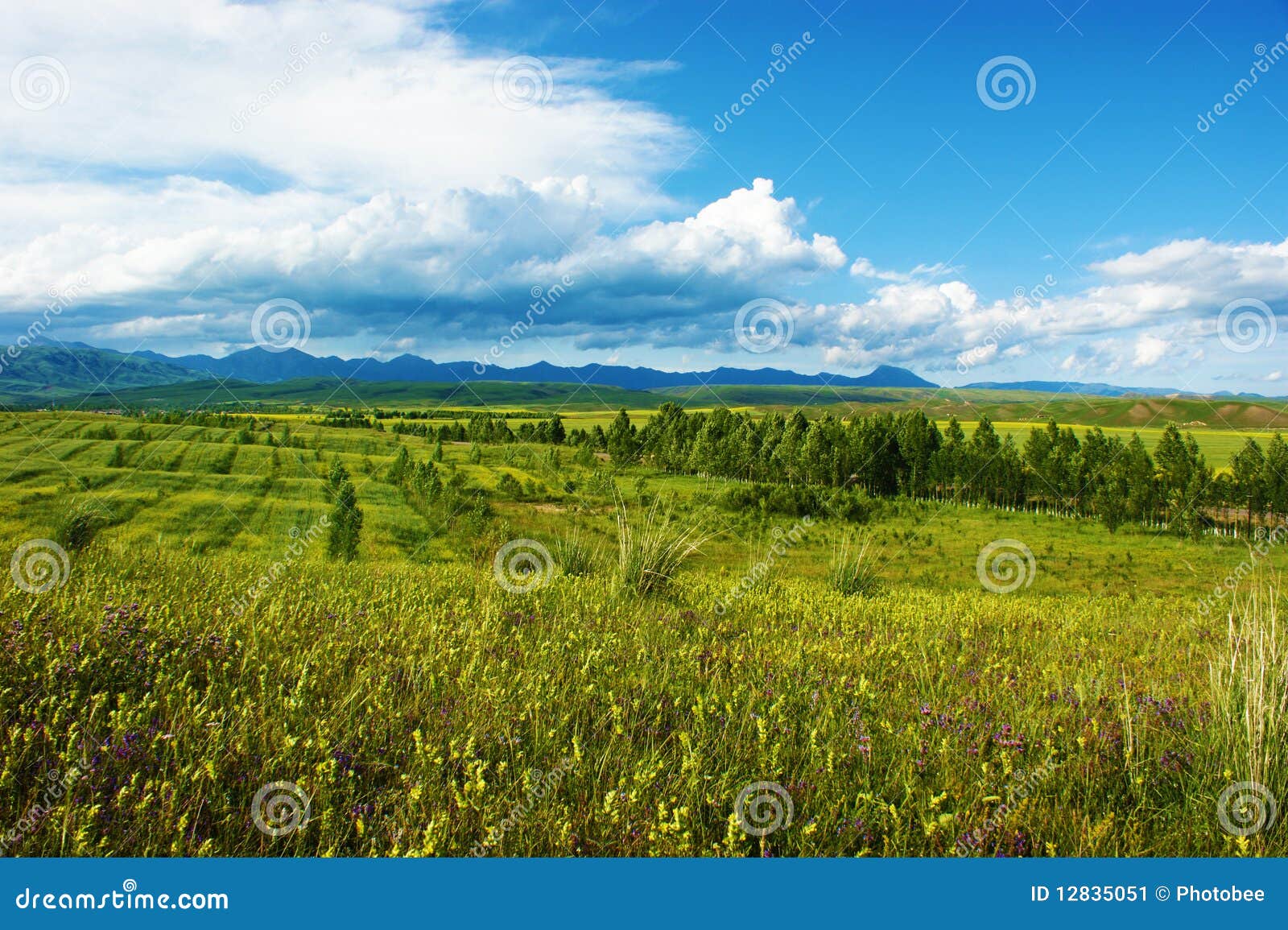 Prairie Farm stock image. Image of environment, houses - 12835051
