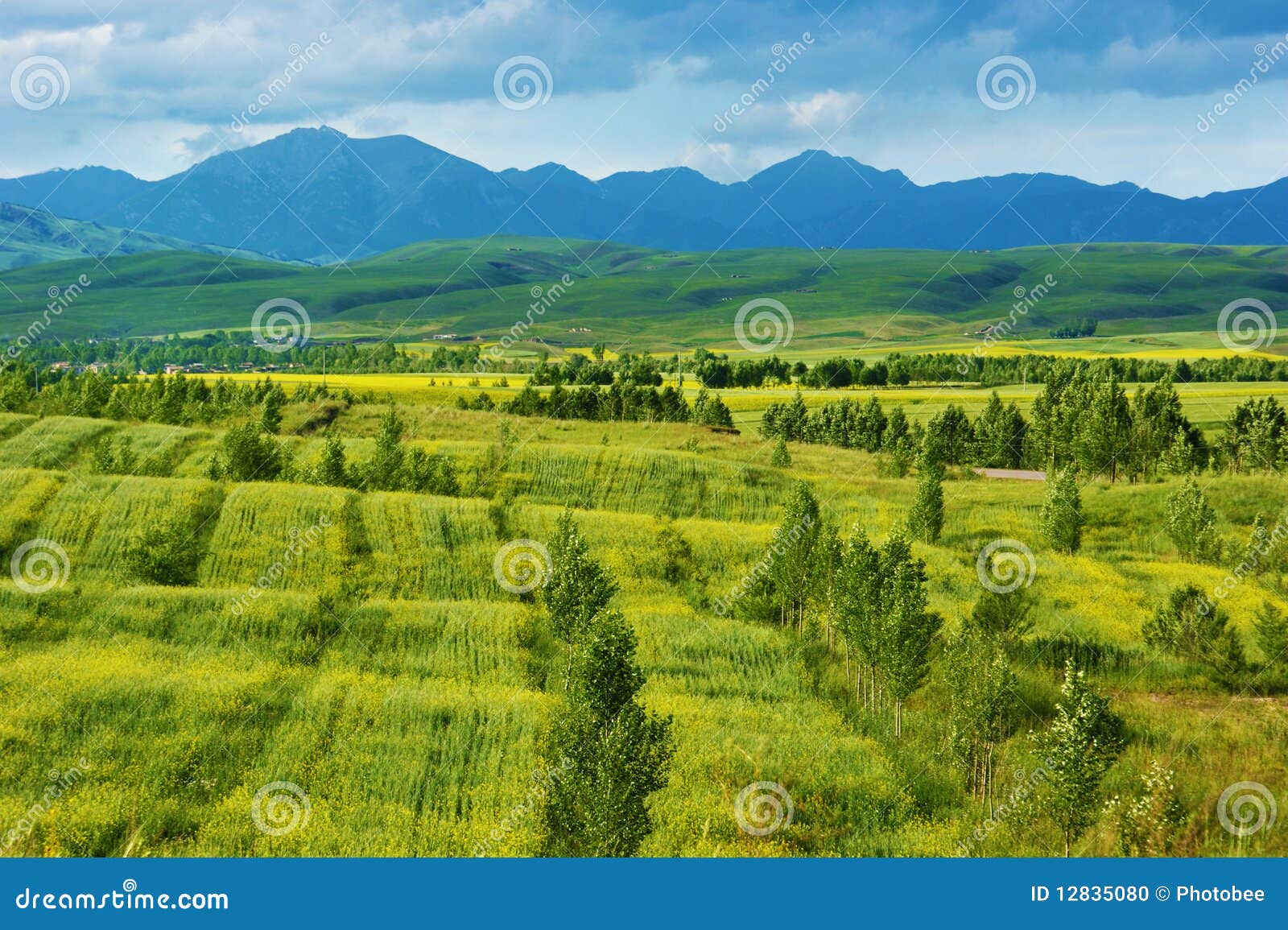 Prairie Farm stock photo. Image of quiet, vacation, green - 12835080