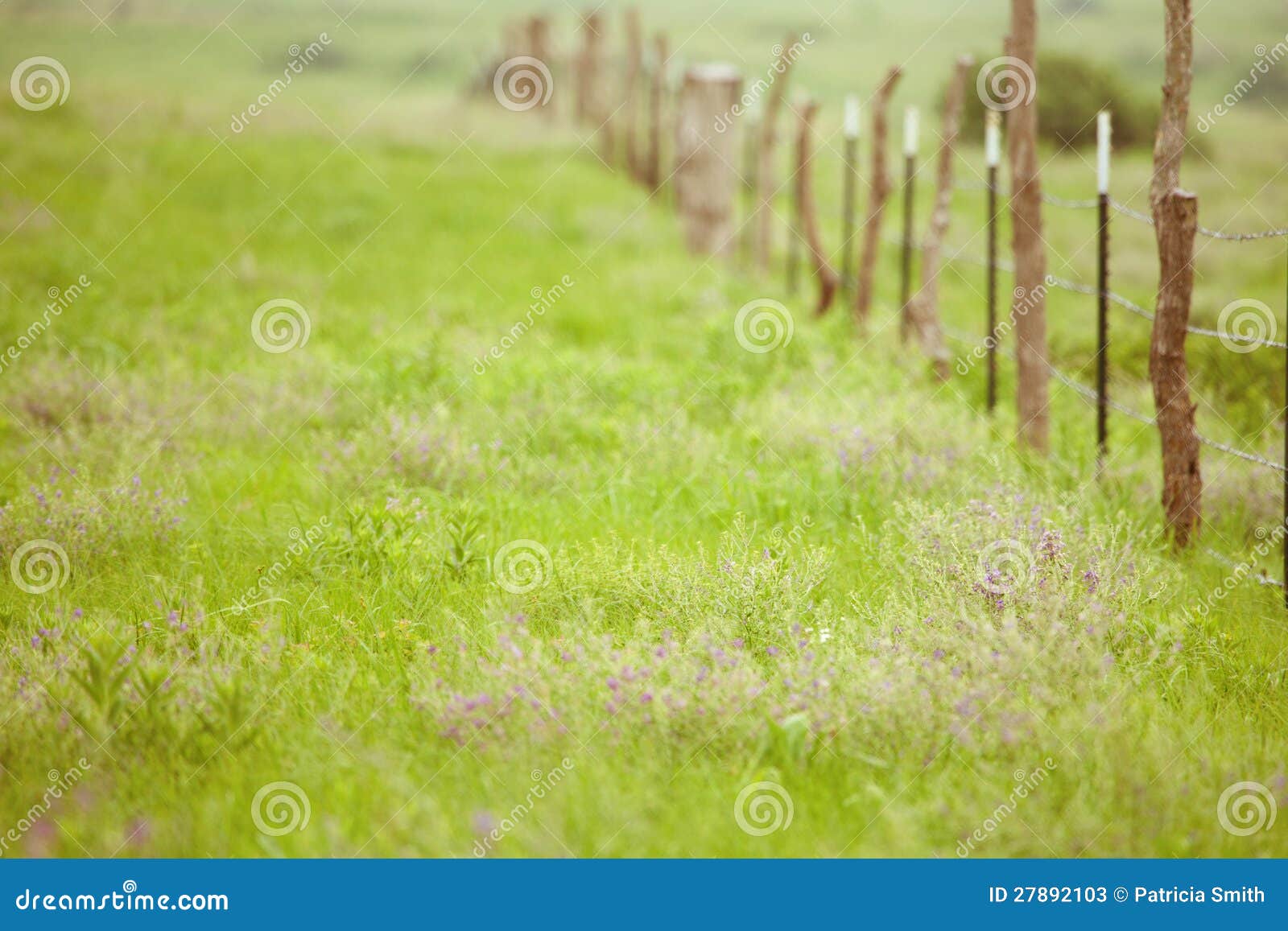 Prairie fence stock image. Image of scenery, environment - 27892103