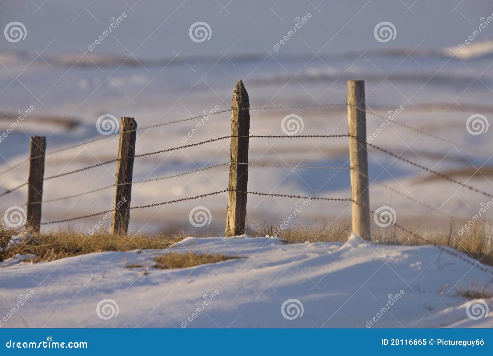 Prairie Fence in Winter stock image. Image of mend, ranch - 20116665