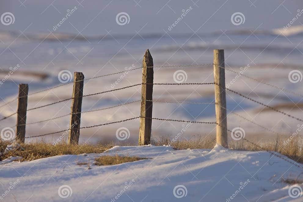 Prairie Fence in Winter stock image. Image of mend, ranch - 20116665