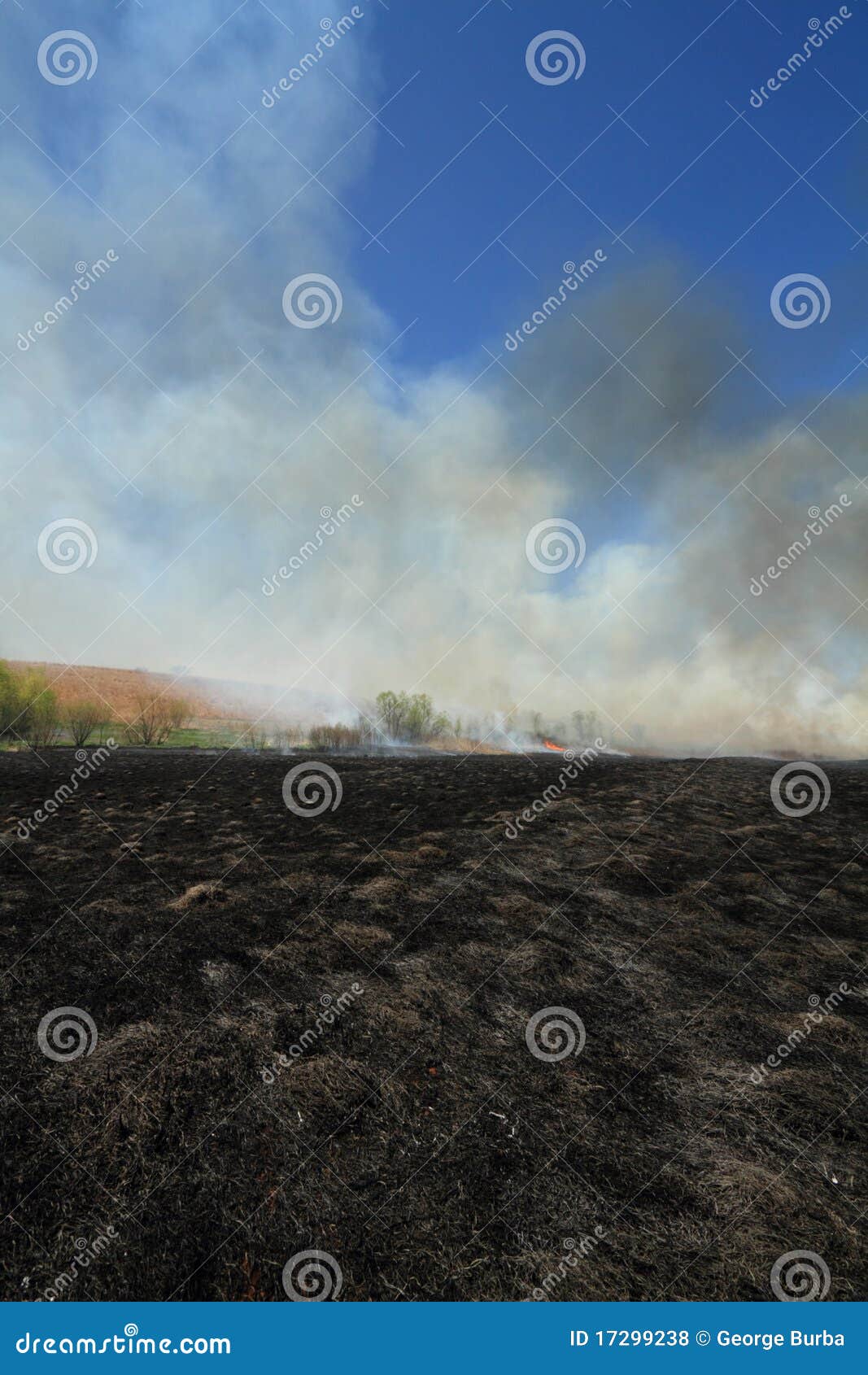 Prairie Fire stock photo. Image of grassland, cloud, green - 17299238