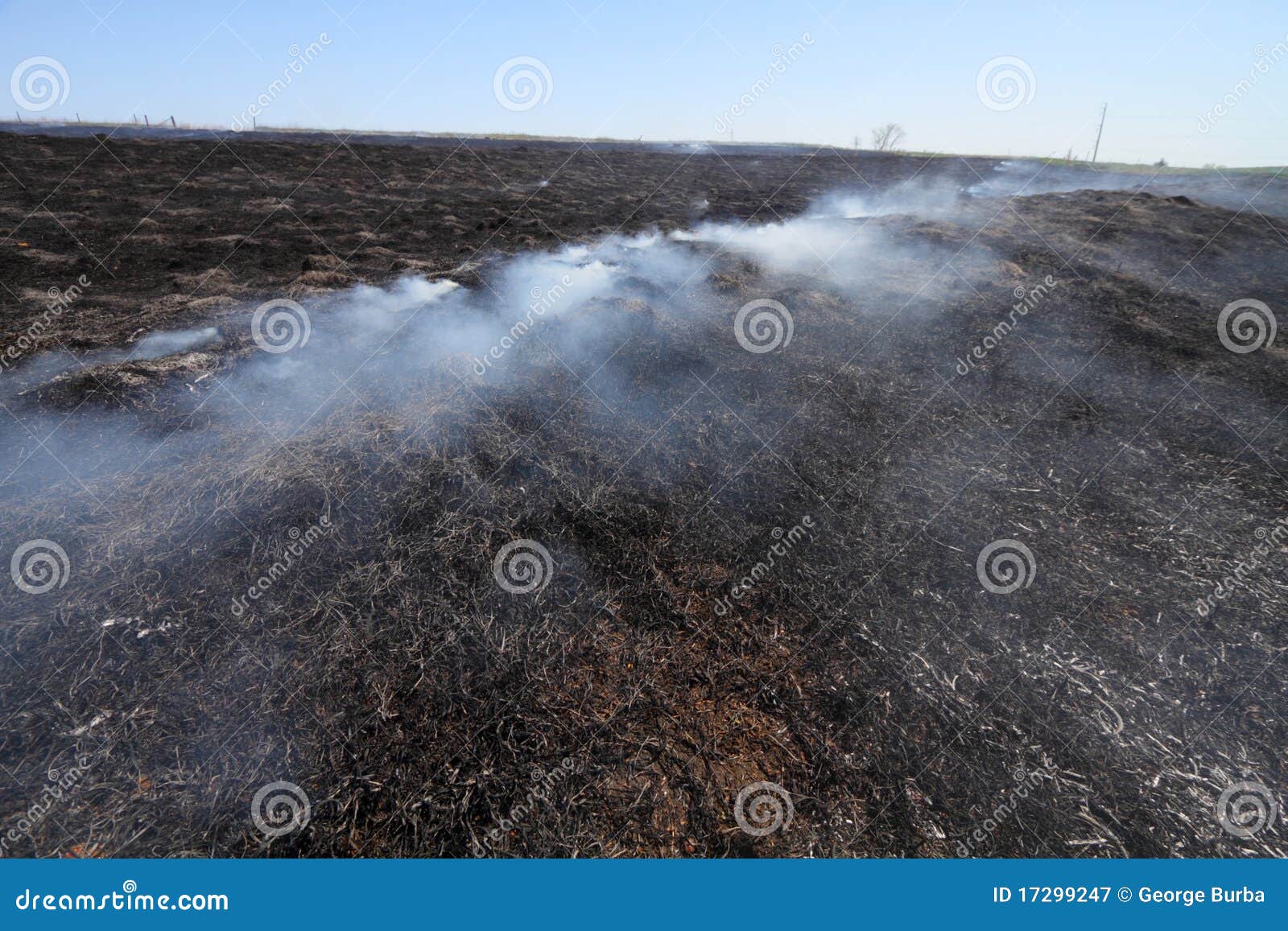 Prairie Fire stock image. Image of burn, bush, fire, heat - 17299247