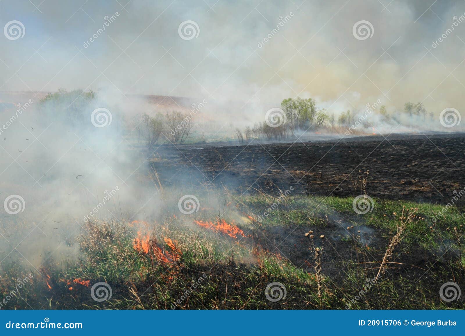 Prairie Fire stock photo. Image of crop, country, destruction - 20915706