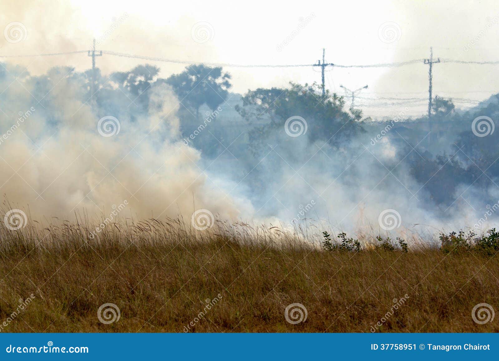 Prairie fire stock image. Image of fire, details, destruction - 37758951