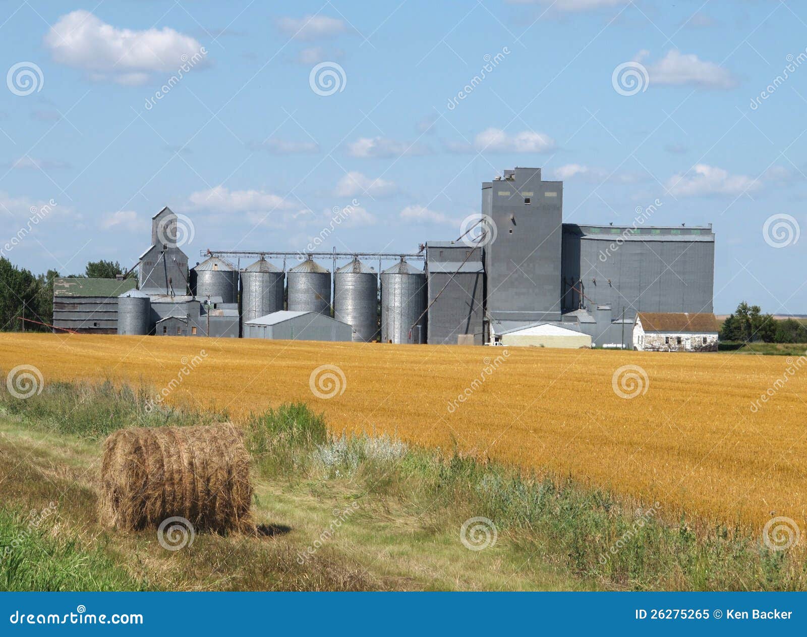 Prairie Grain Elevator and Bin Complex Stock Image - Image of rural ...