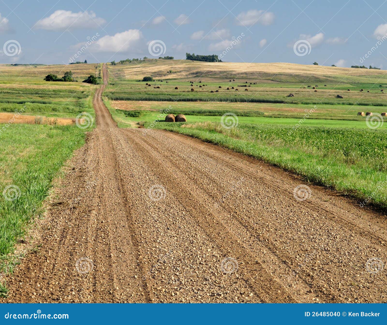 Prairie Gravel Road through Fields. Stock Photo - Image of prairie ...