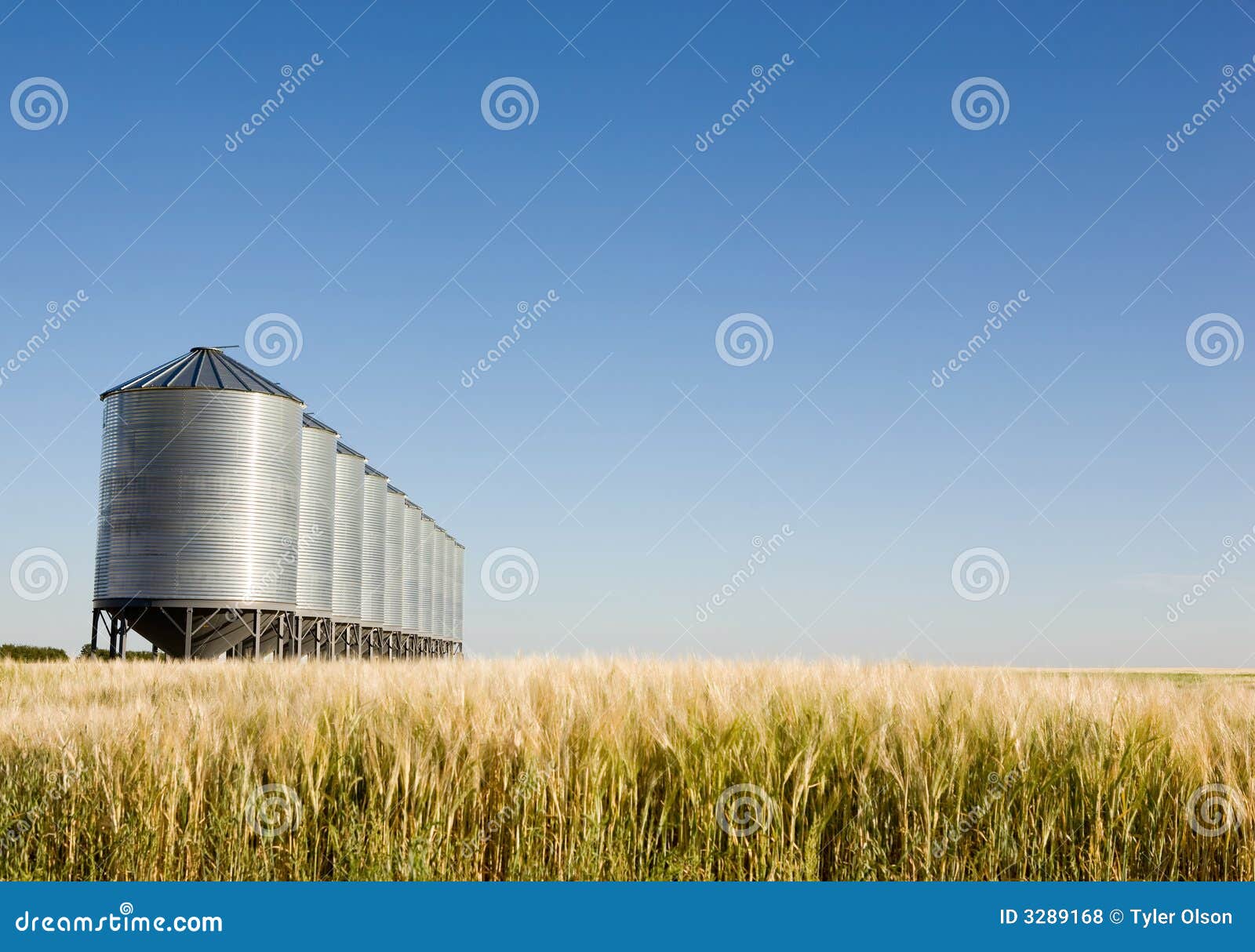 Prairie Harvest stock photo. Image of produce, grainaries - 3289168