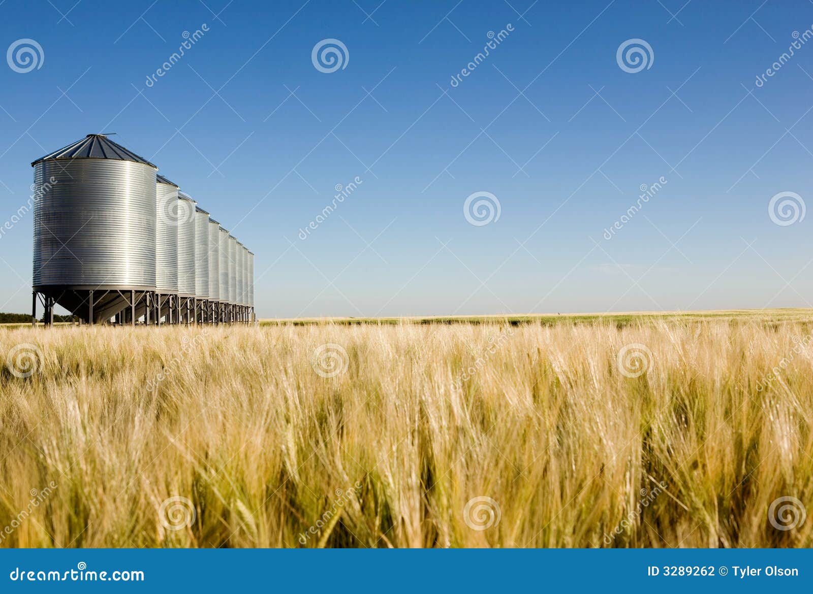 Prairie Harvest Landscape stock photo. Image of granaries - 3289262
