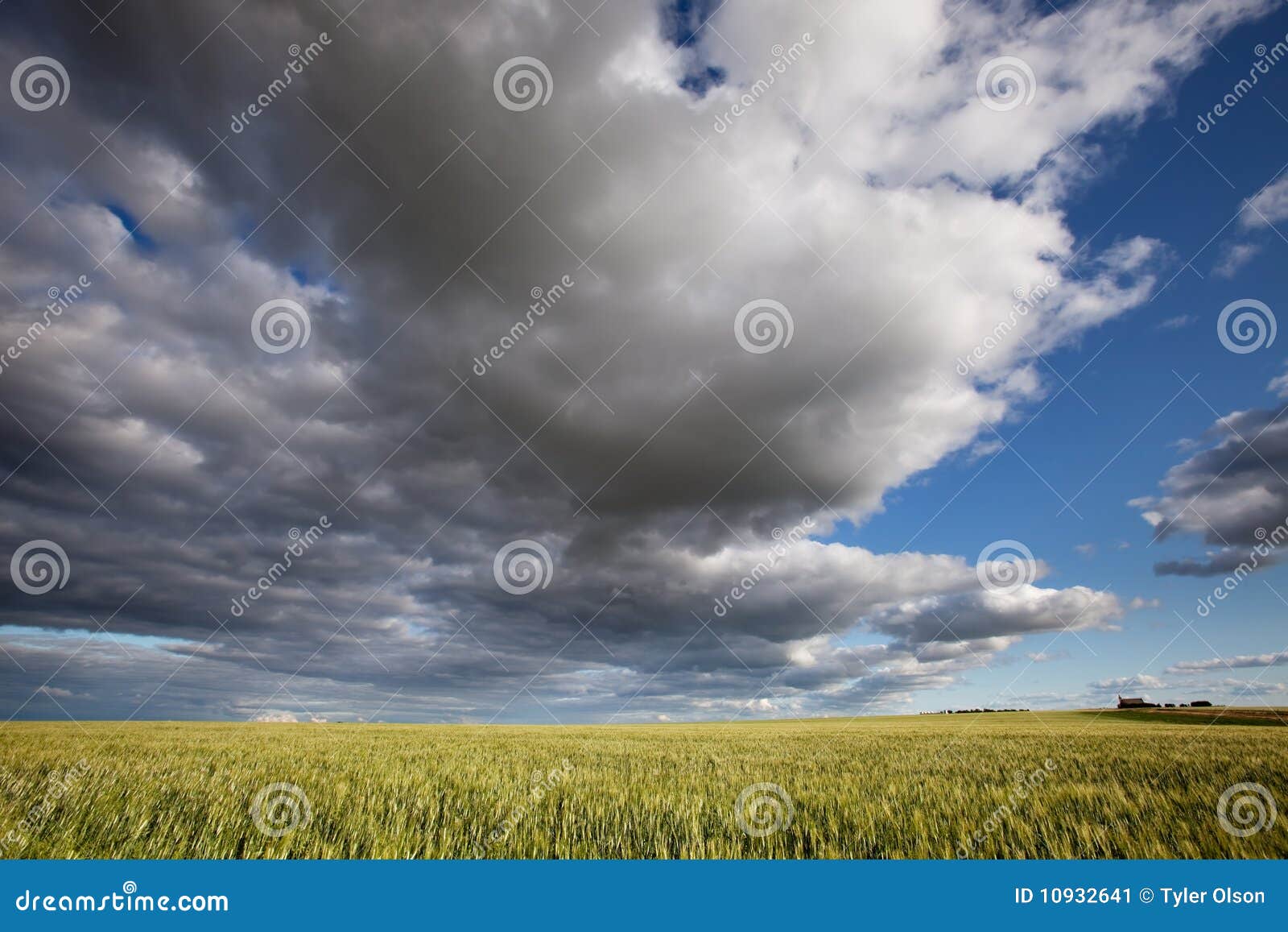 Prairie Landscape stock image. Image of montana, horizon - 10932641