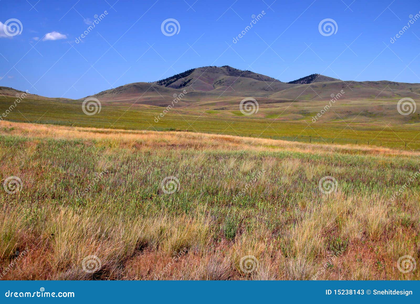 Prairie landscape stock image. Image of tranquil, field - 15238143