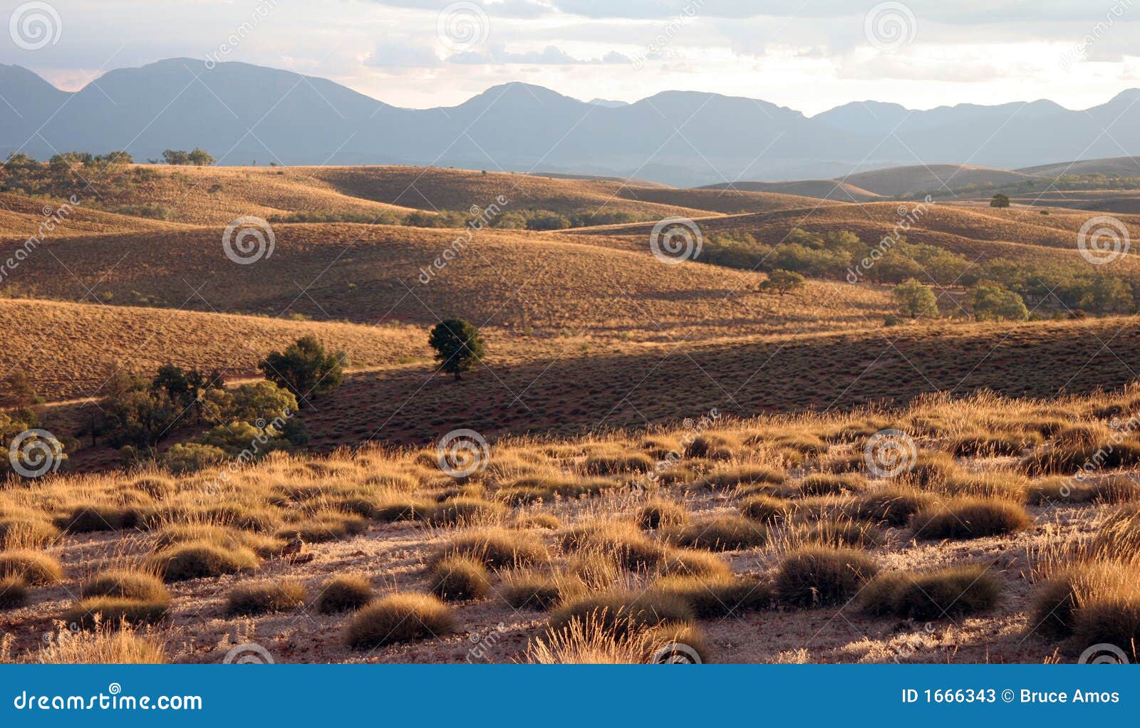 Prairie landscape stock image. Image of prairie, gravel - 1666343