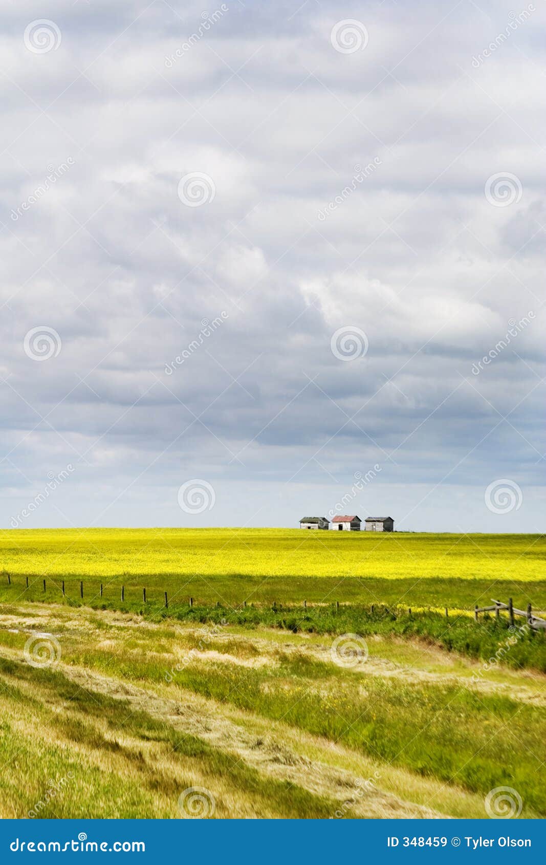 Prairie Landscape stock image. Image of granaries, south - 348459