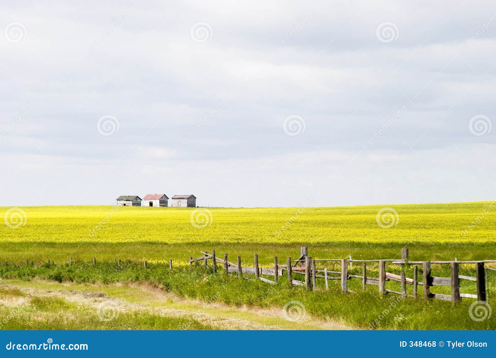Prairie Landscape stock photo. Image of view, west, landscape - 348468