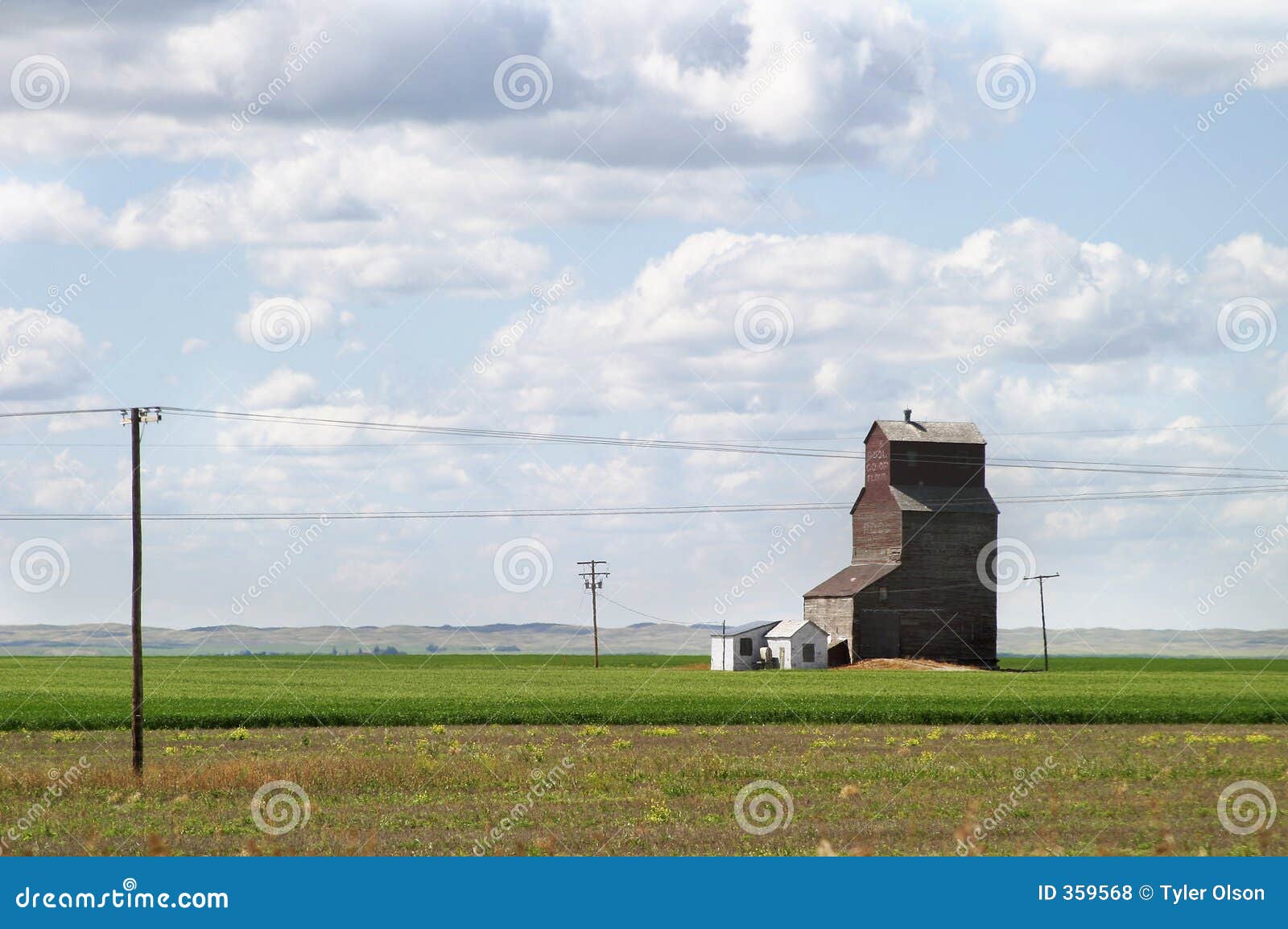 Prairie Landscape stock photo. Image of grain, green, prairie - 359568