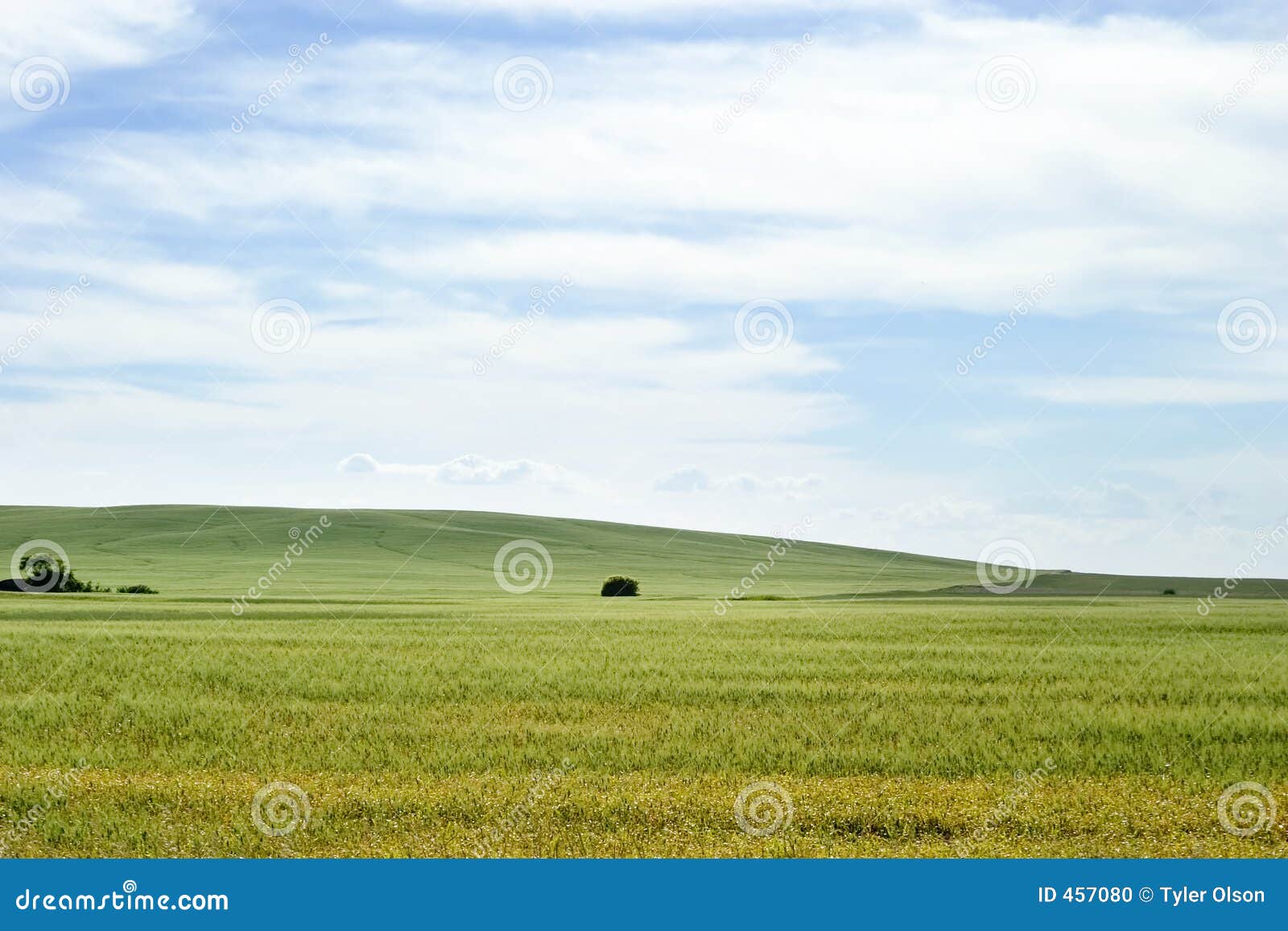 Prairie Landscape stock photo. Image of flat, beautiful - 457080