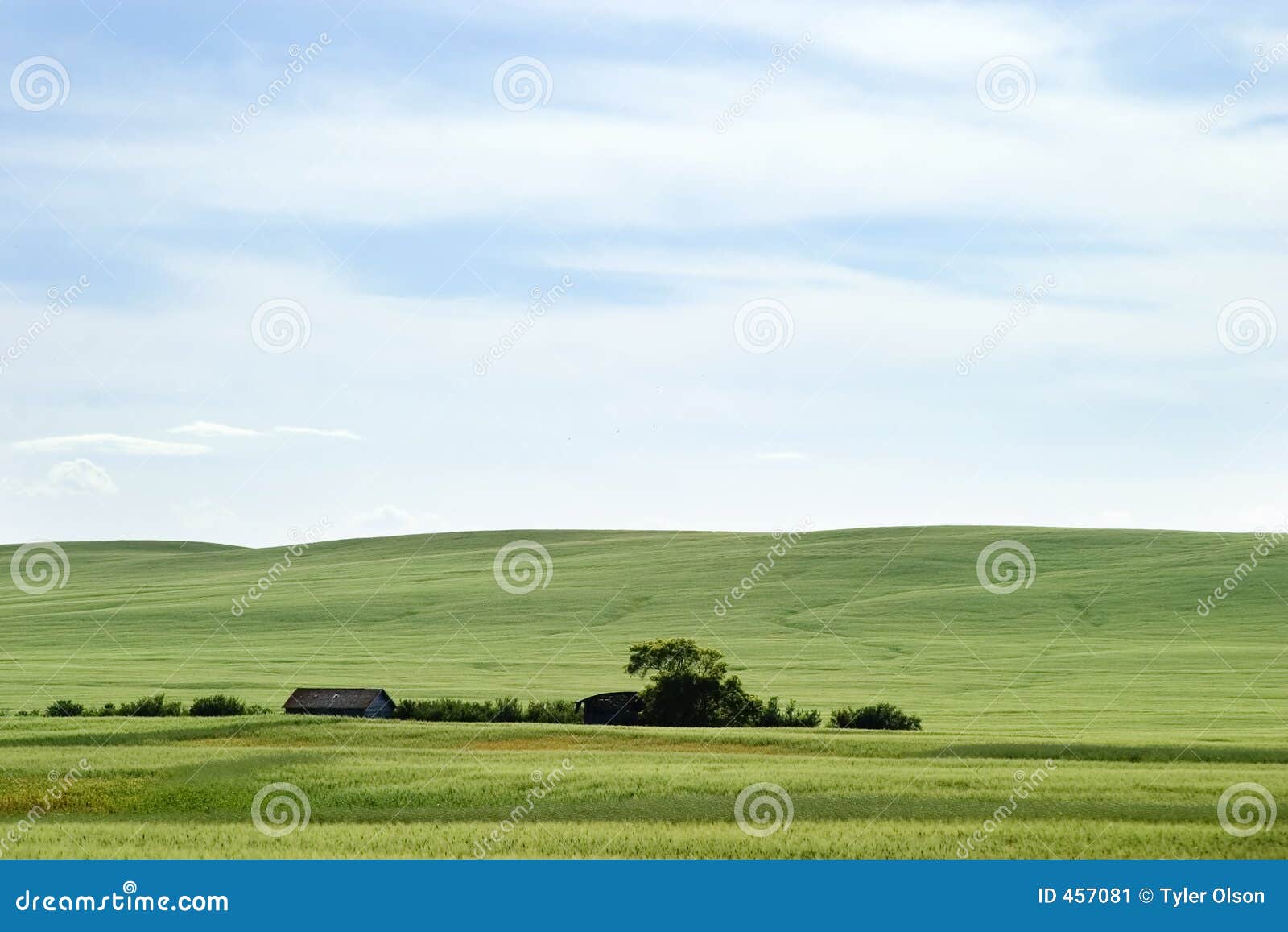 Prairie Landscape stock image. Image of beautiful, prairie - 457081