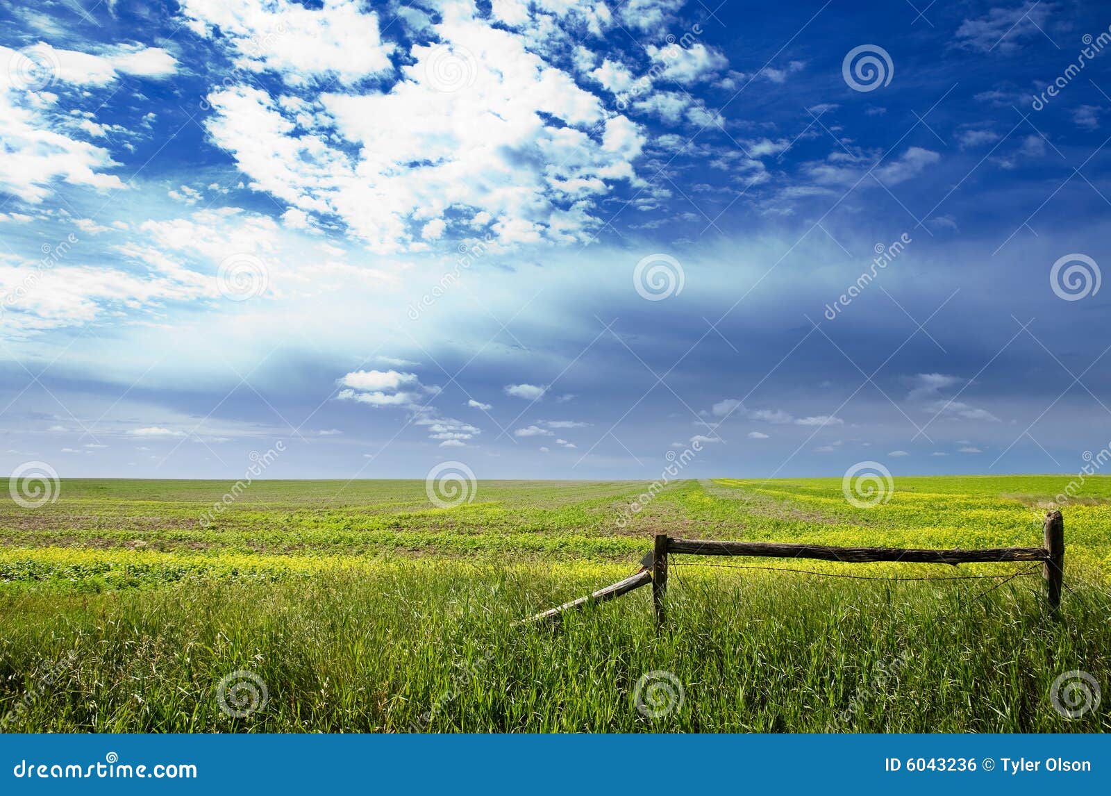 Prairie Landscape stock photo. Image of agriculture, weather - 6043236