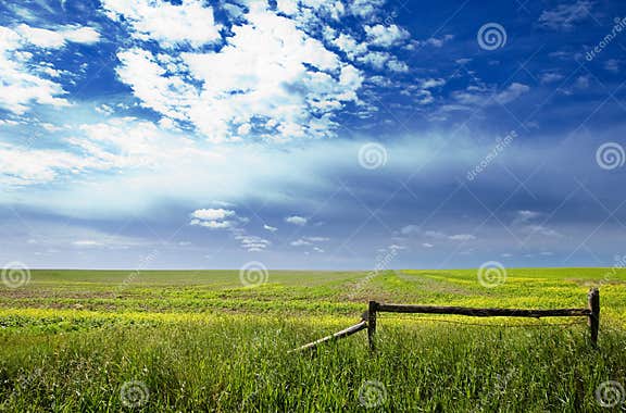 Prairie Landscape stock photo. Image of agriculture, weather - 6043236